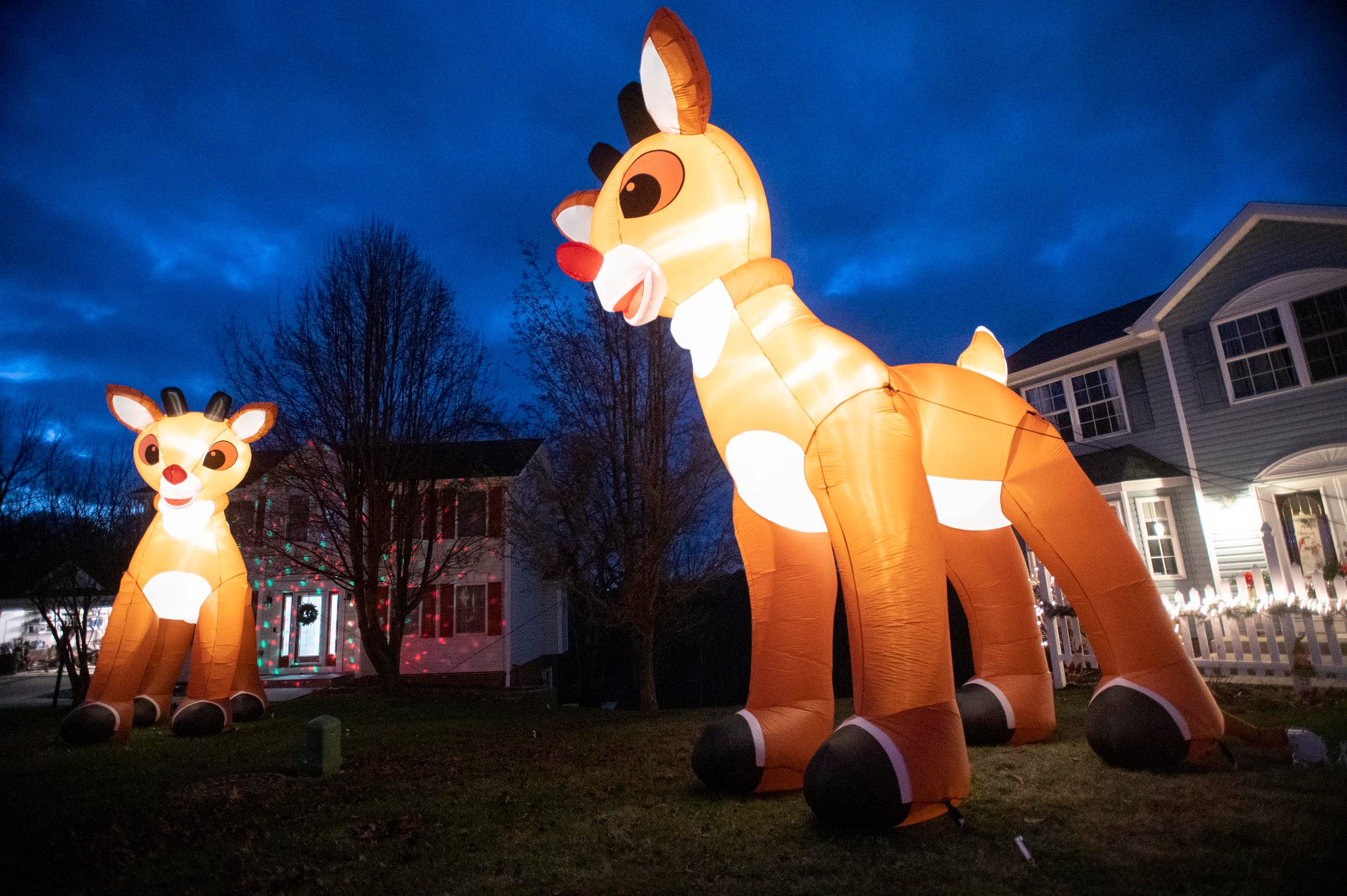 Gigantic inflatable Rudolph The Red-Nosed Reindeer pop up in Chippewa