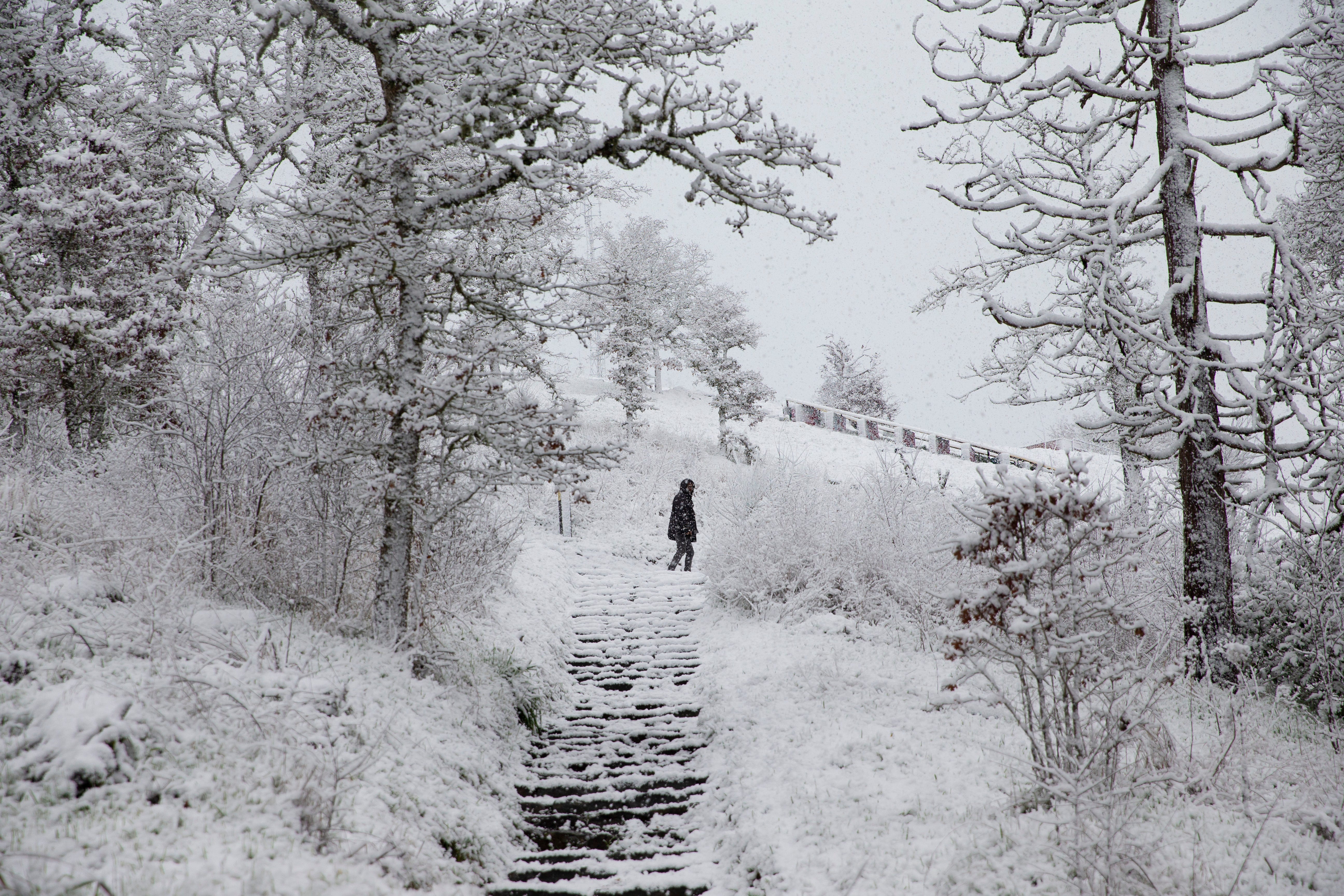 Updates on winter storm weather and travel in Lane County and Oregon
