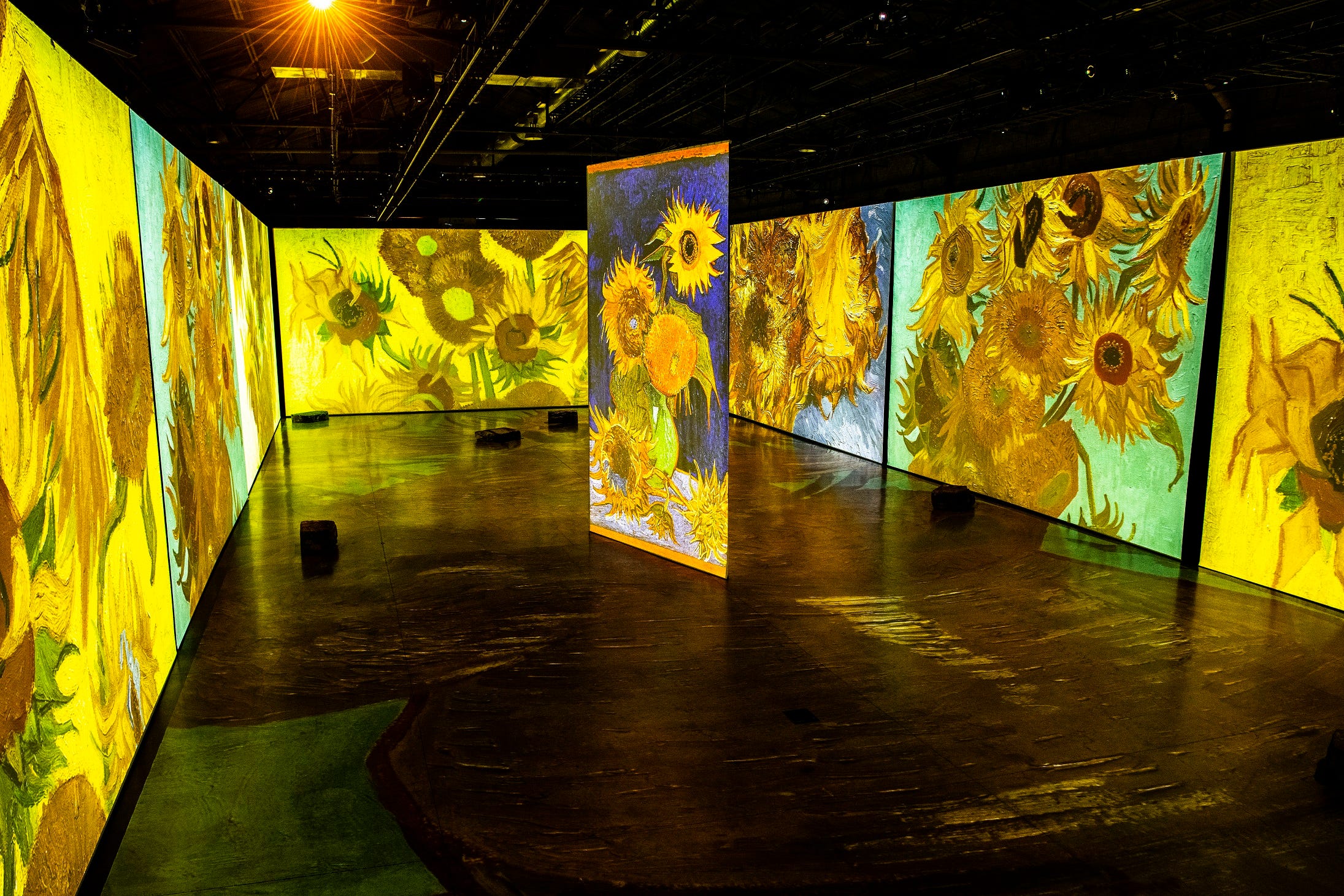 What to expect at immersive 'Imagine Van Gogh' exhibition in Boston