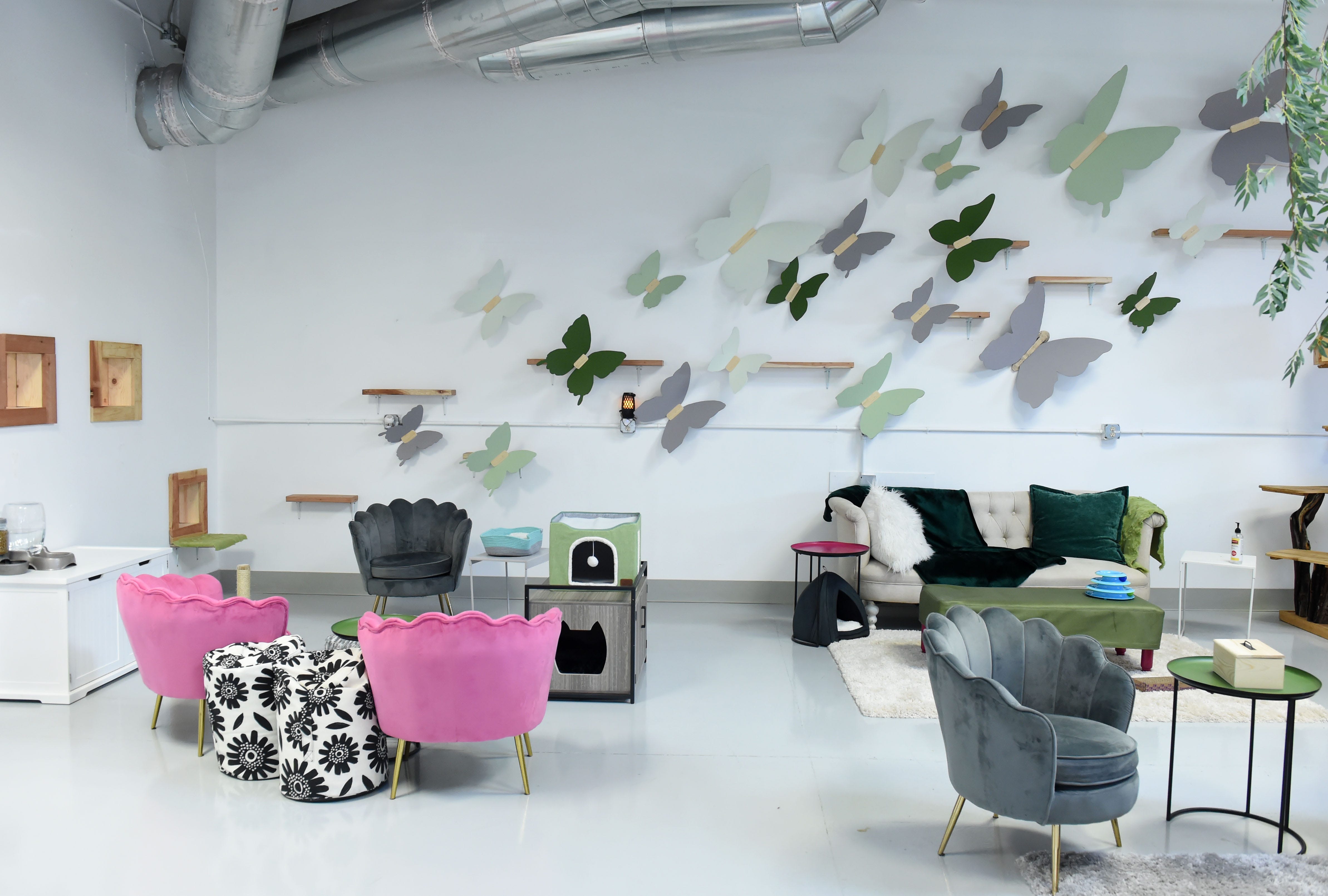 Enchanted Cat Cafe opens as the first cat cafe in Reno, NV