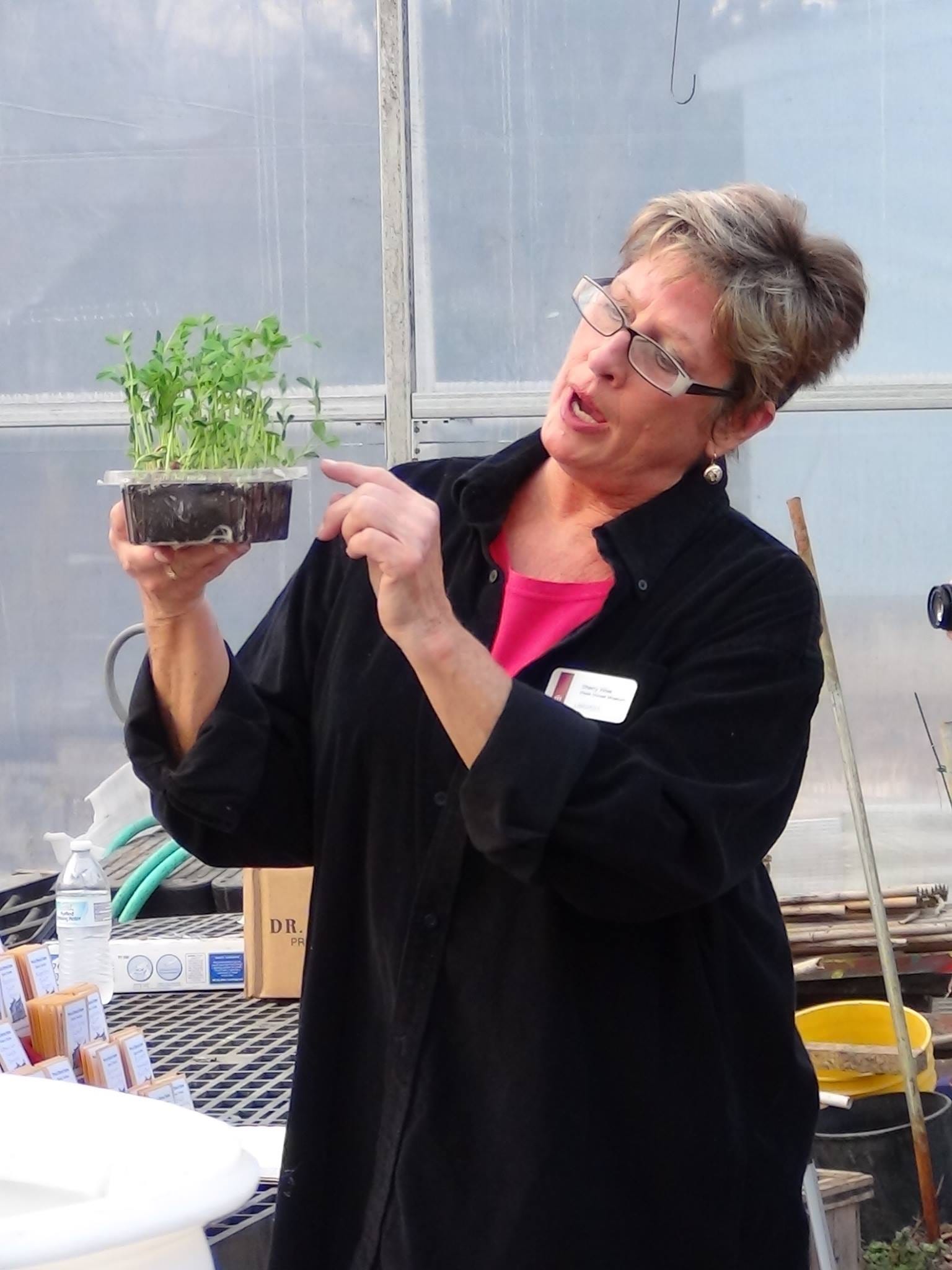 Volunteer Bloomington: Exhibit docents, shelter helpers, garden workers