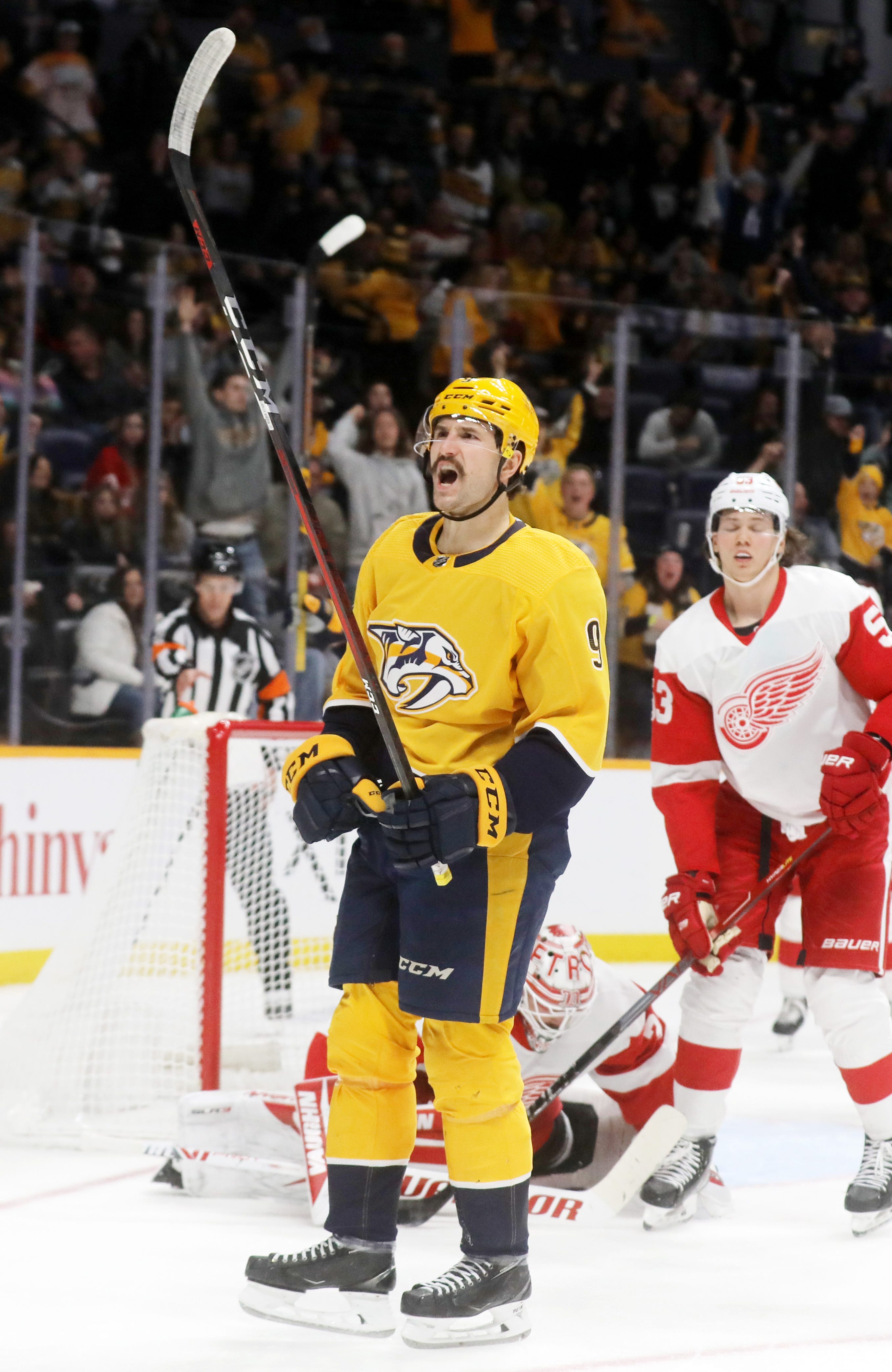 The Tennessean|Nashville Predators