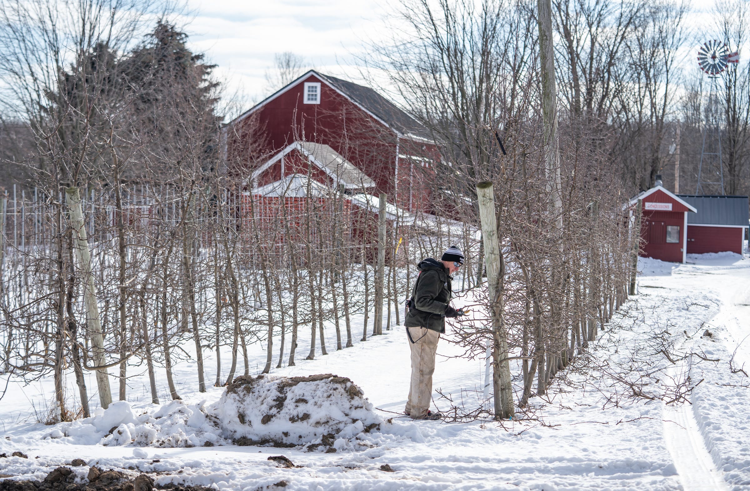 Climate change already harming Michigan's vital cherry, apple crops