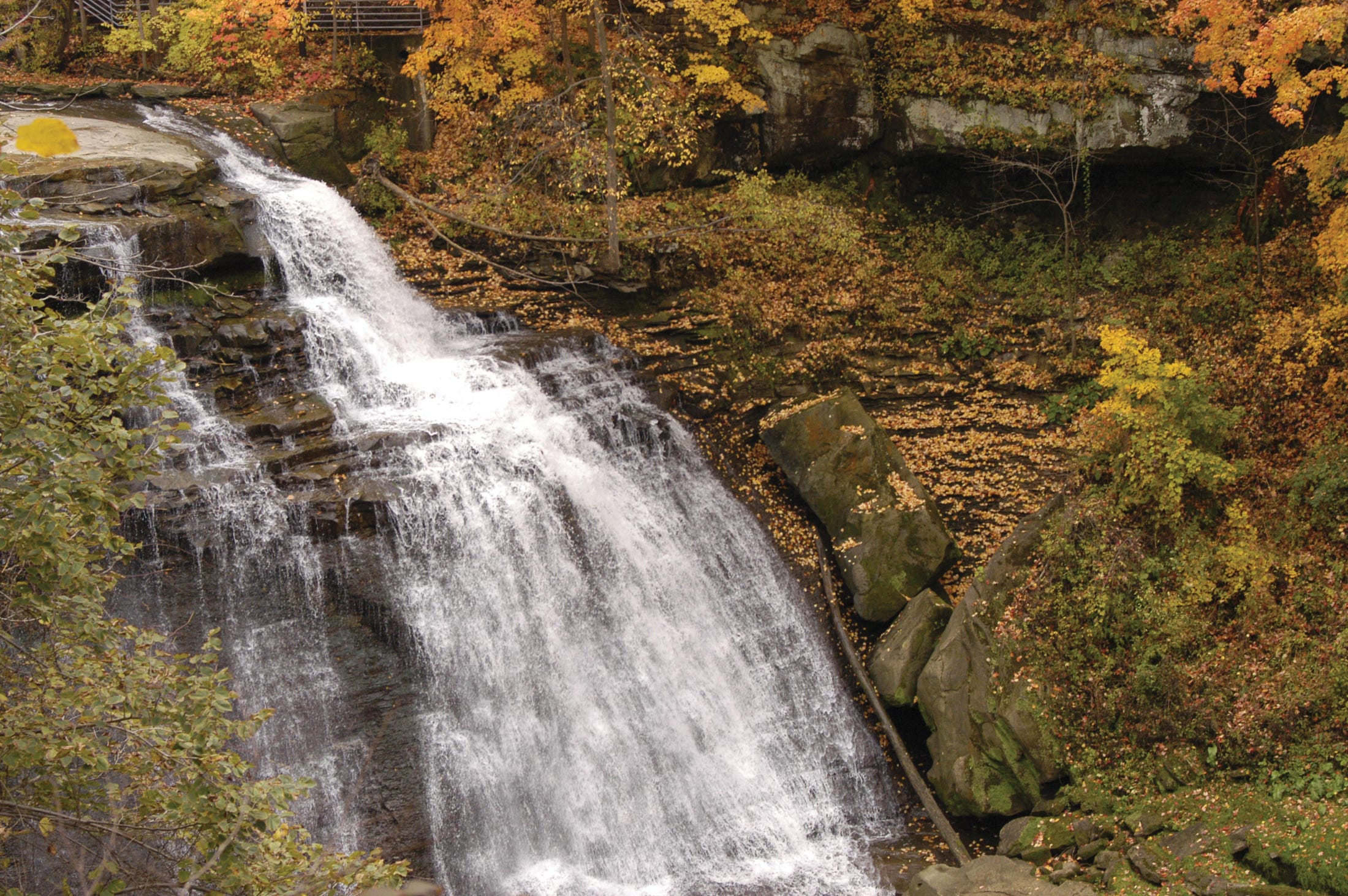 Fall things to do: Canton fall bucket list