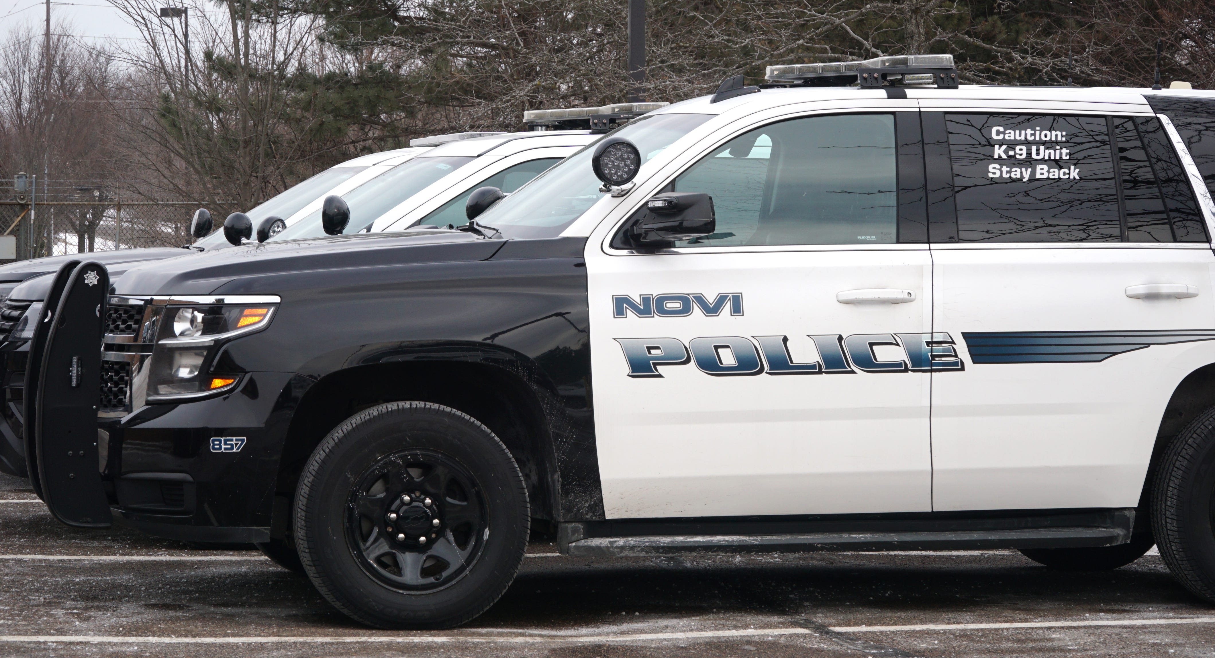 Observer and Eccentric Novi News