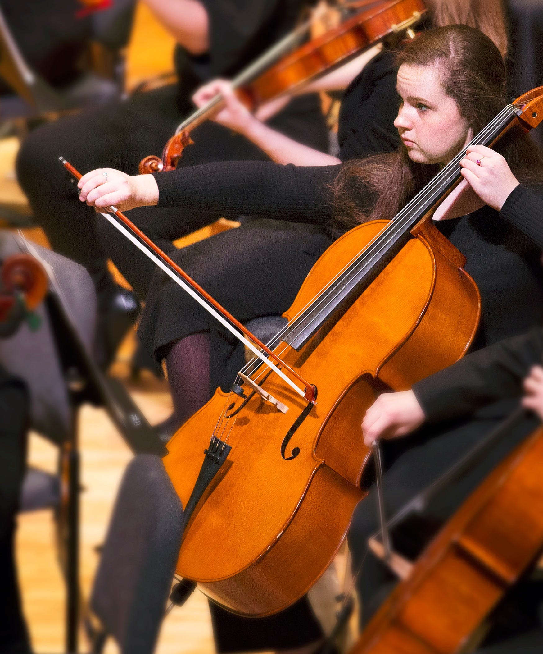 Patterson shocked by slaying of SUNY Potsdam senior Elizabeth Howell