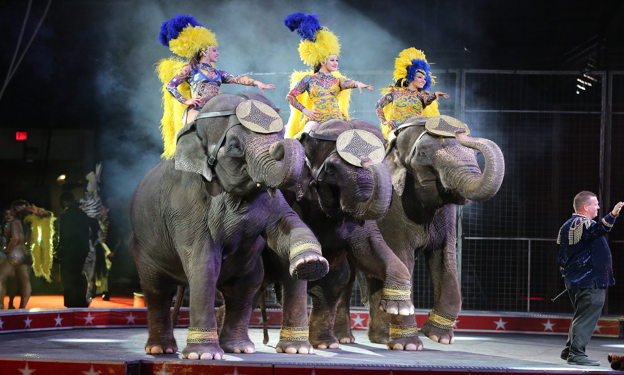 Carden Circus visiting Corpus Christi: Acrobats, elephants and more