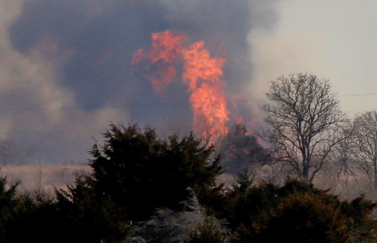 Cedar trees are wildfire fuel, and the reason dangers are increasing
