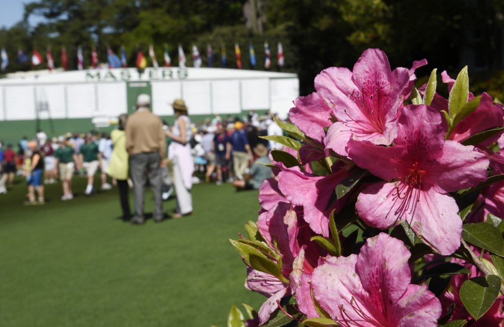 Azaleas at the Masters: What to know about Augusta's most famous shrub