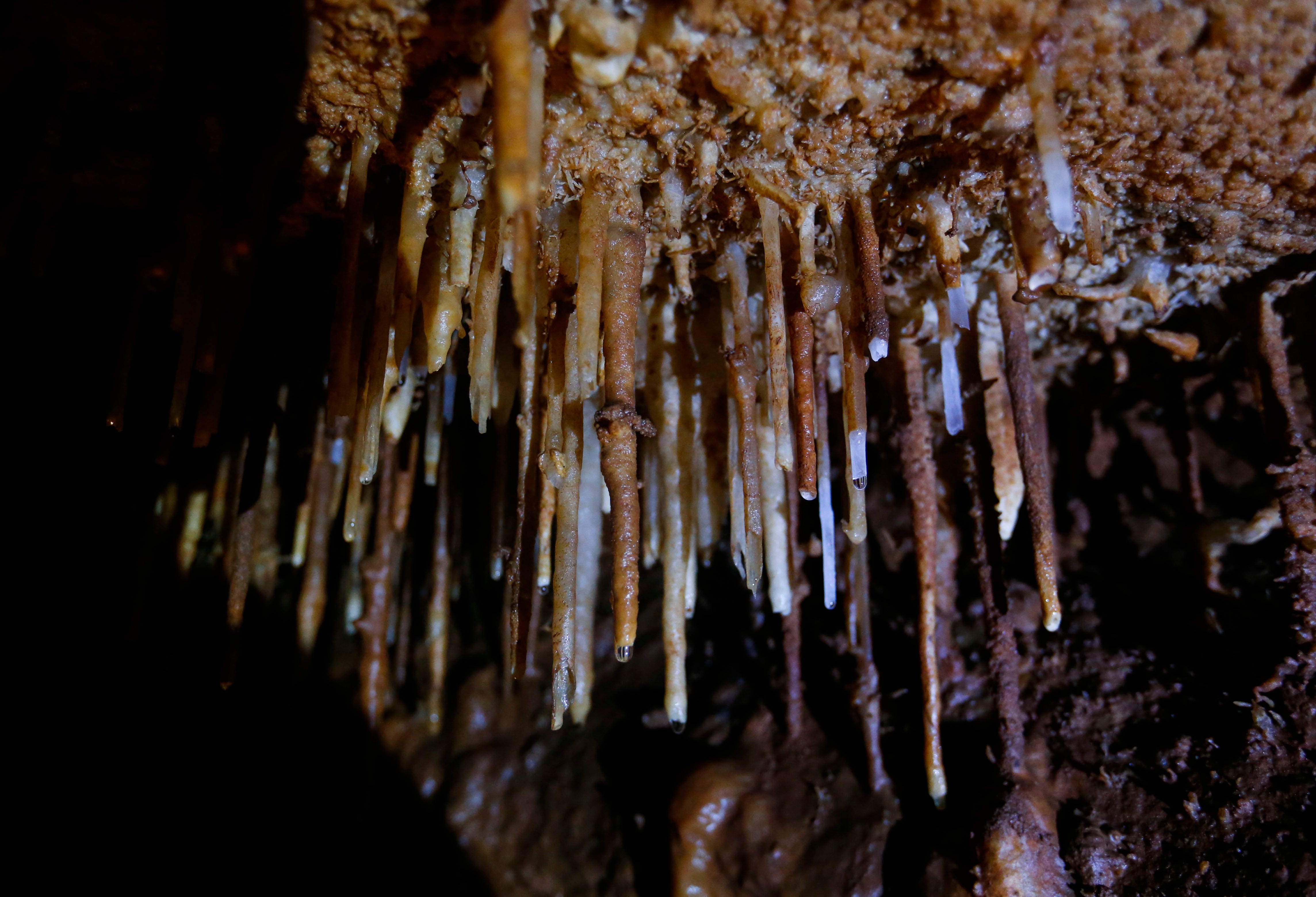 Springfield's Crystal Cave reopens after 10-year hiatus with tours