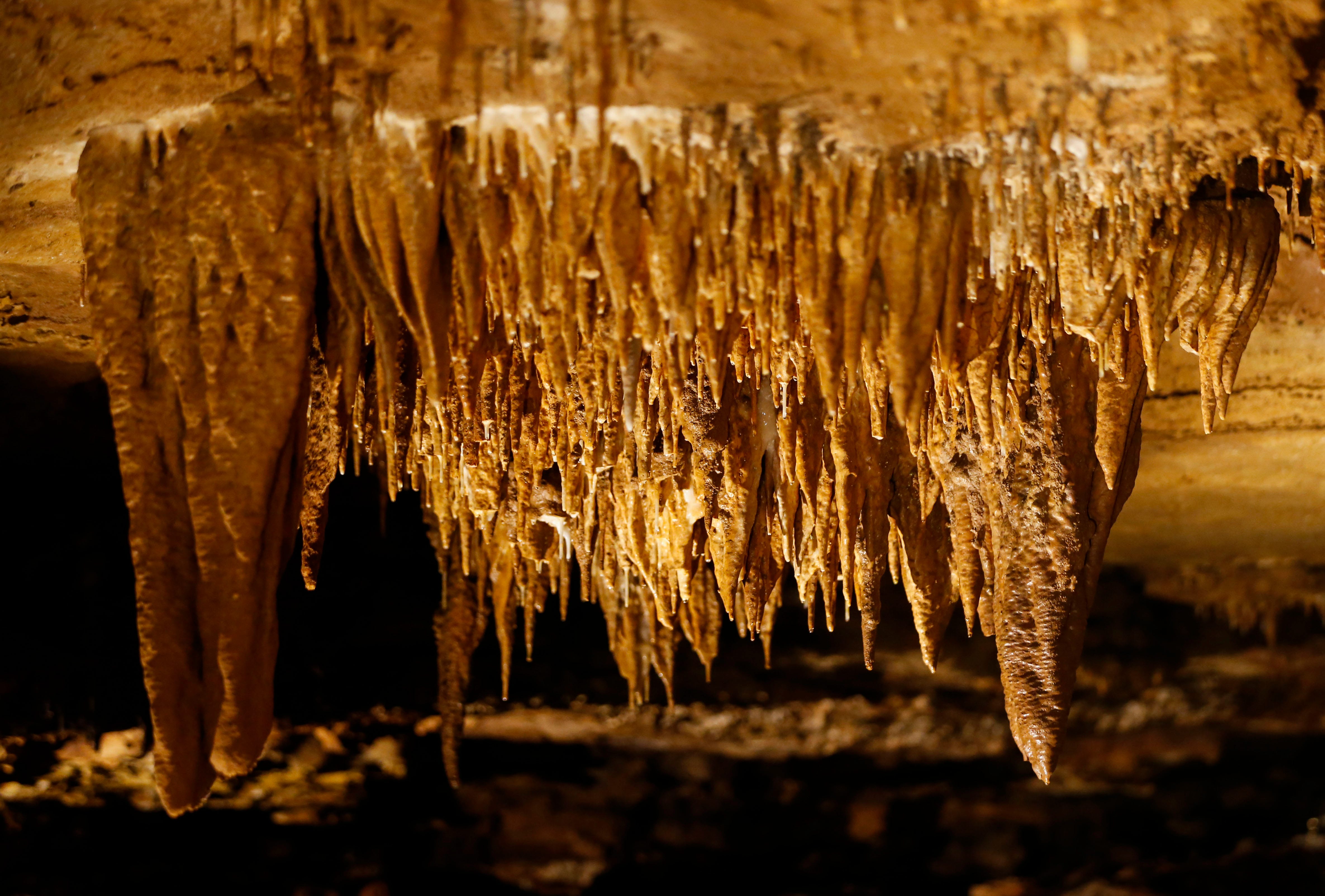 Springfield's Crystal Cave reopens after 10-year hiatus with tours