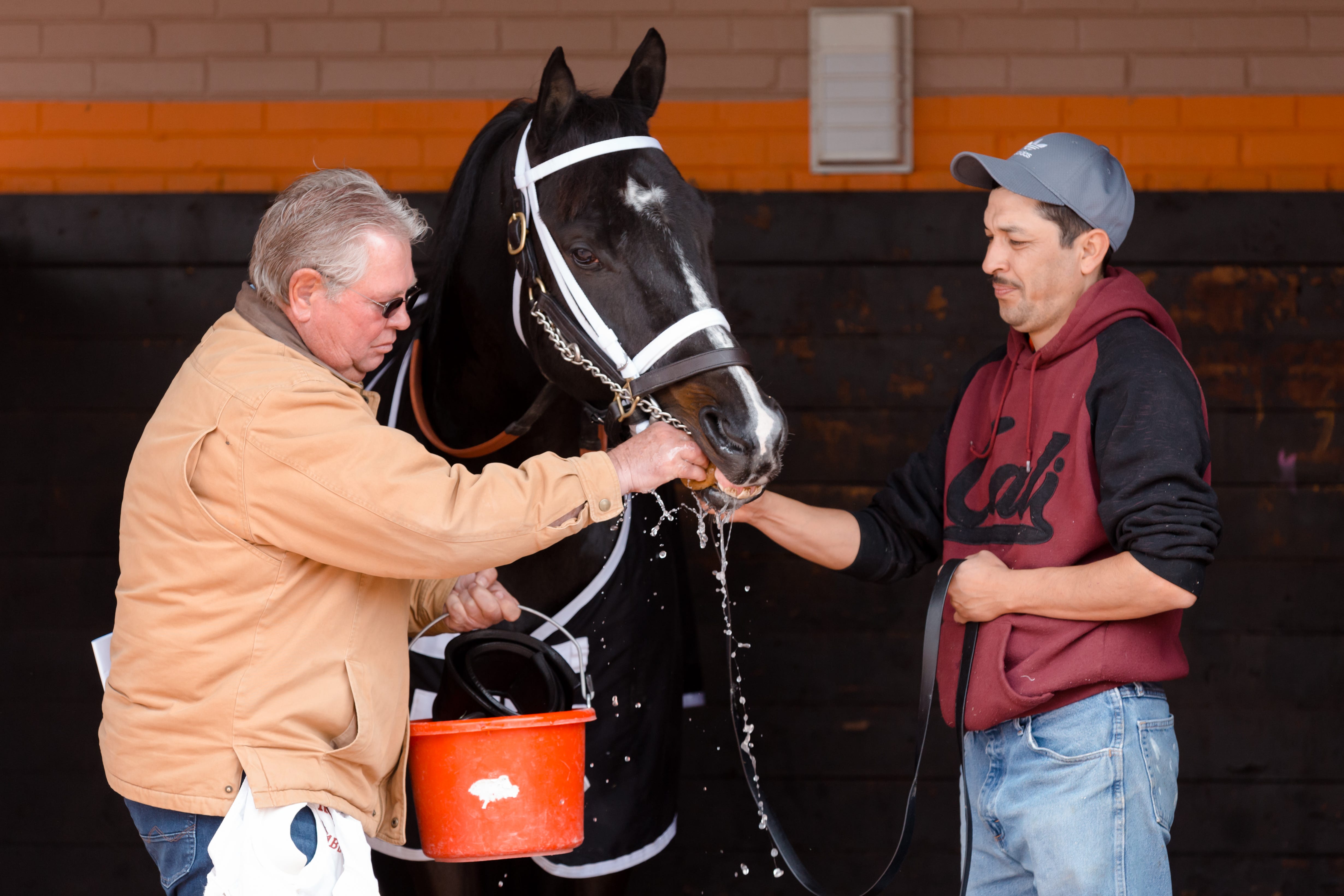 Trainers Todd Fincher, Bart Hone seek wins in Sunland Park races