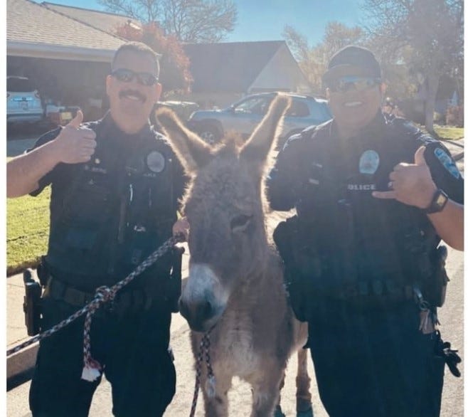 Redding police officer credits mustache for taming donkey on the loose