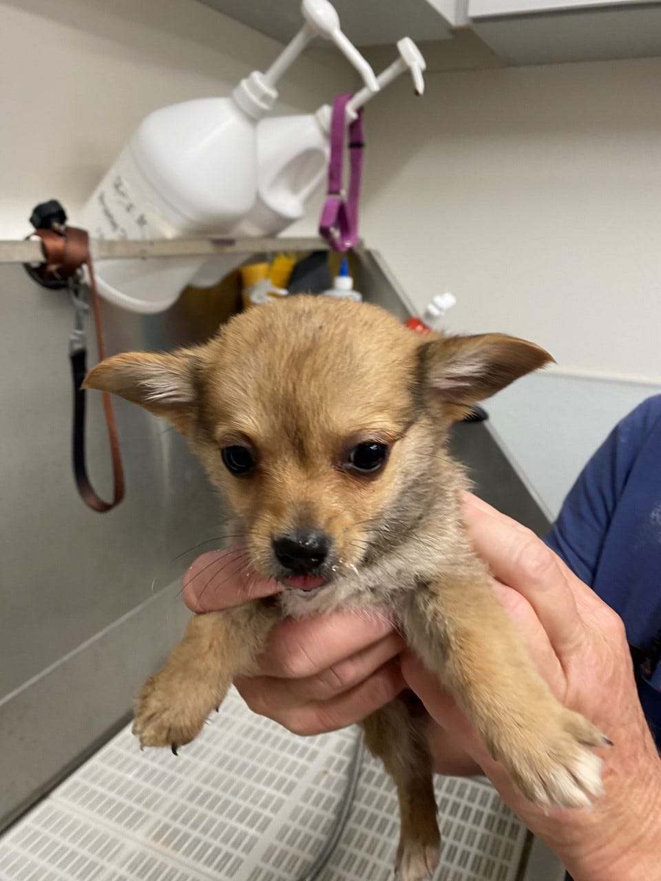 Lights out for Salzer's Video in Ventura; record store to remain