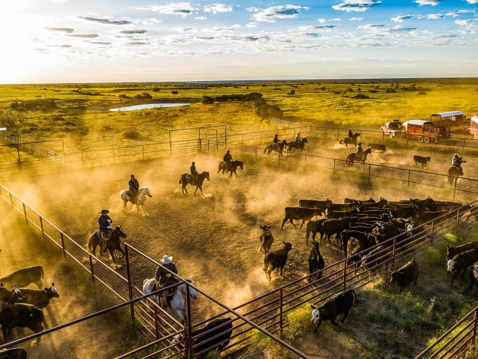 Historic West Texas 6666 Ranch sold; here's a historic look back
