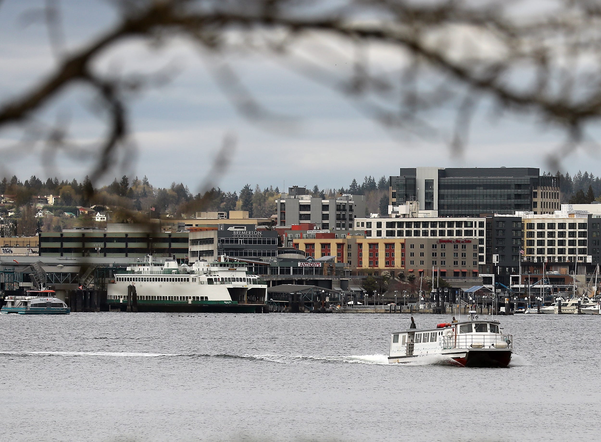 Can We Take Dogs On Bremerton Ferry