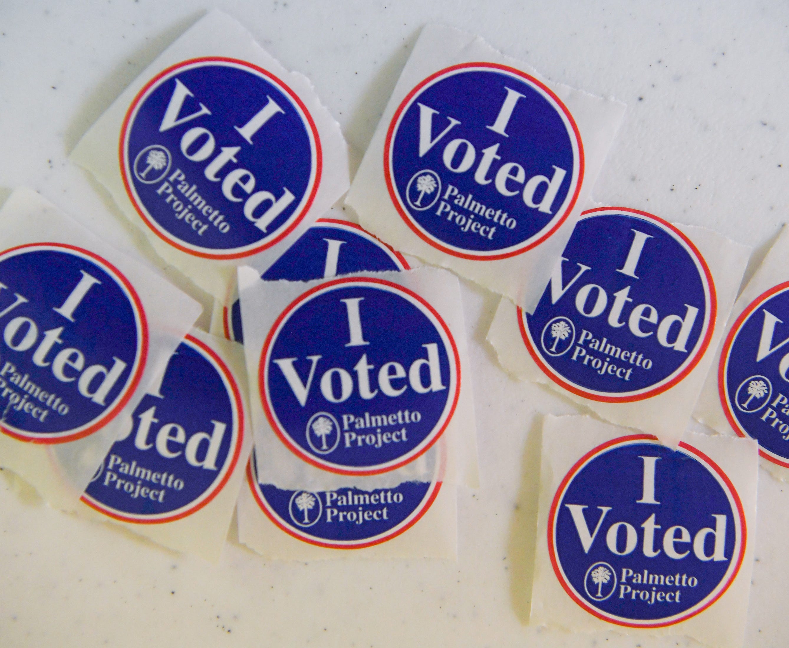 Elections in Anderson County: Early voting in SC and what to know