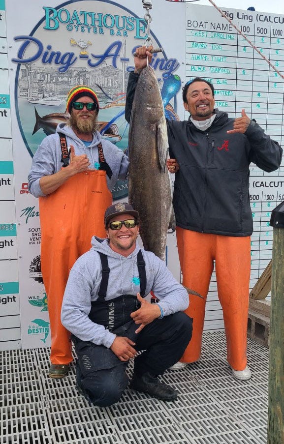 Ding-A-Ling Cobia Tournament at Boathouse Marina has big Day 1