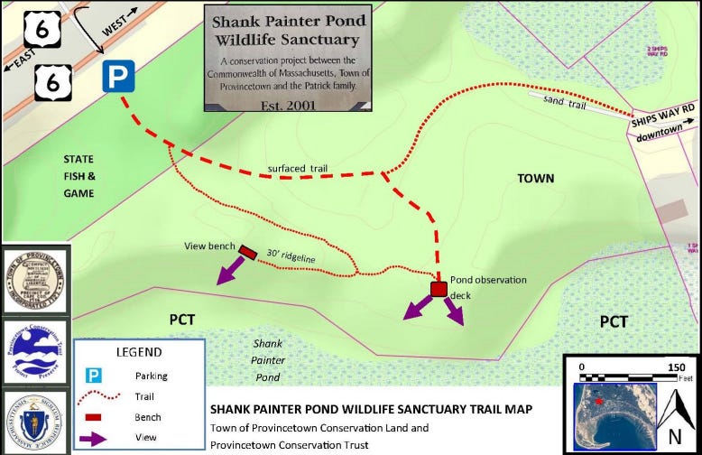 Curious Cape Cod: World's largest quaking bog in Provincetown