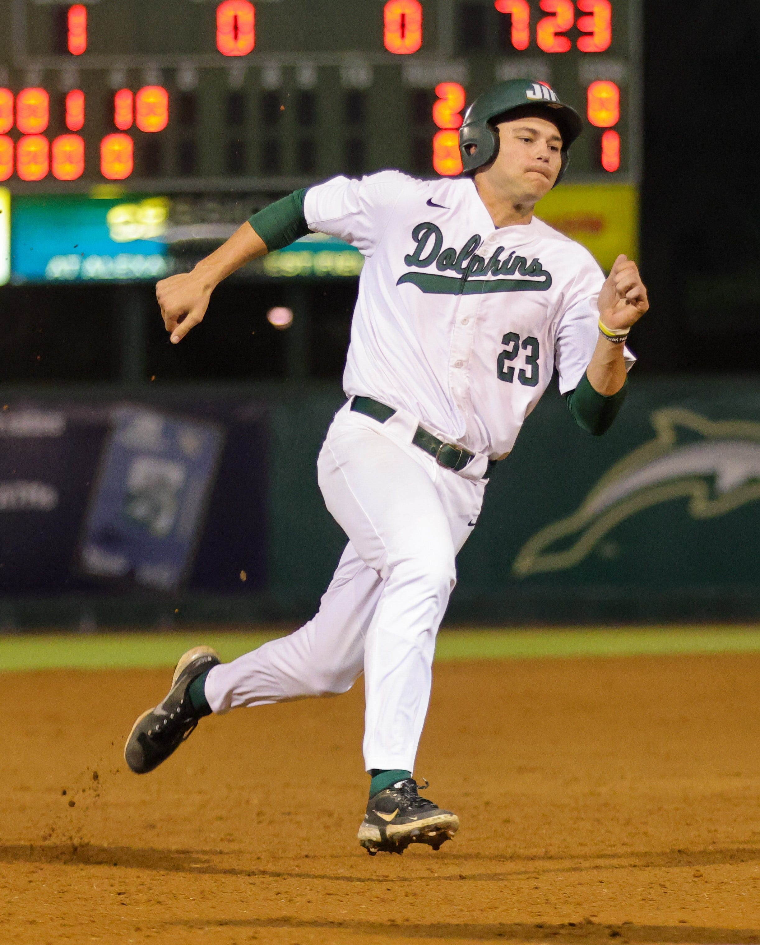 Sports Jacksonville Dolphins - Jacksonville, FL | Florida Times-Union