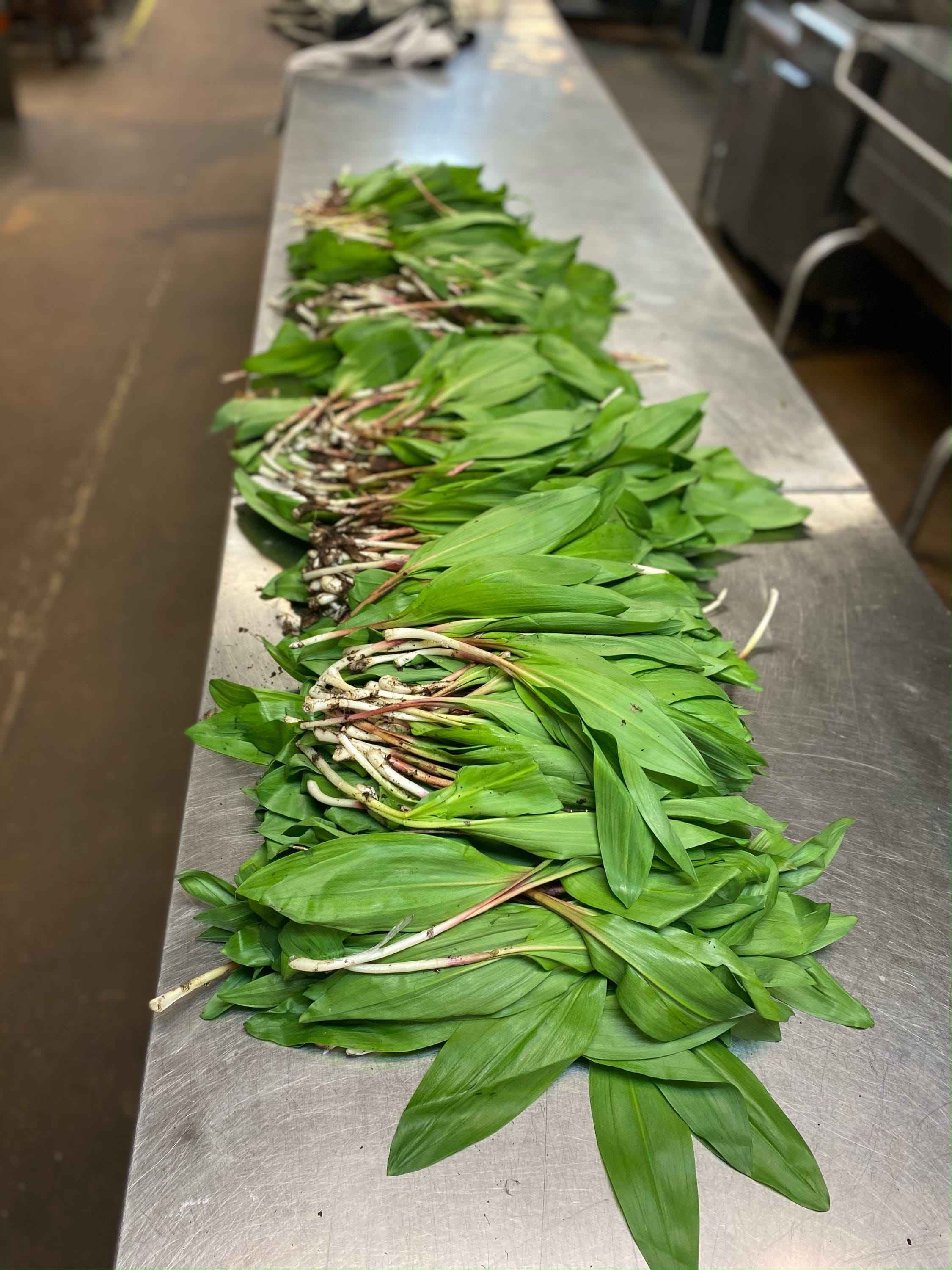 What are ramps? Why are Asheville chefs excited about them?