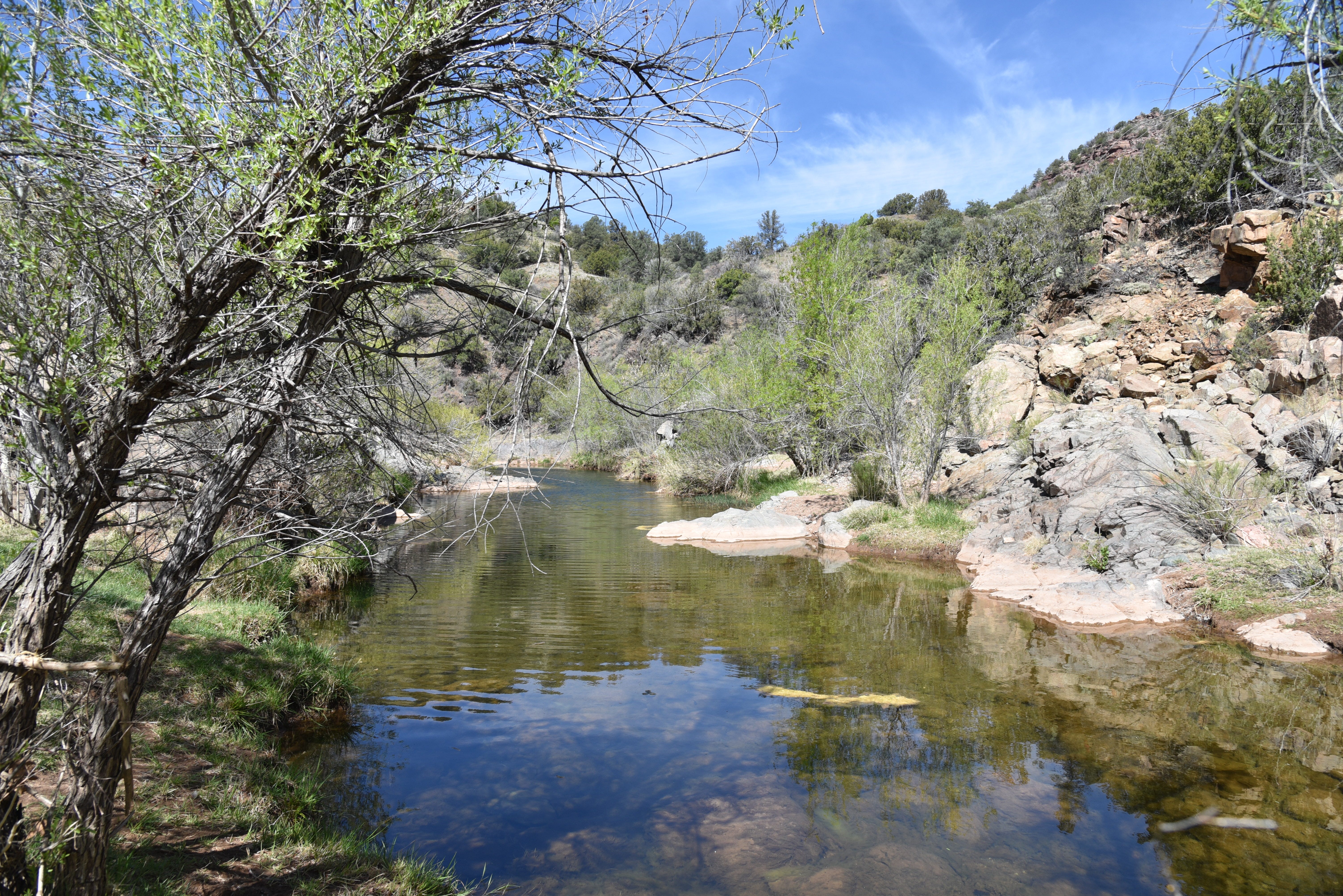 A simple hike with views: East Verde River in Tonto National Forest