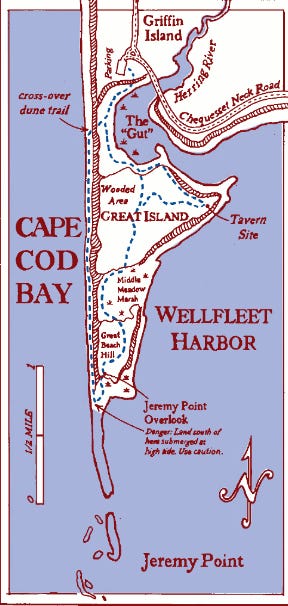 Hiking Cape Cod: The Great Island Trail in Wellfleet