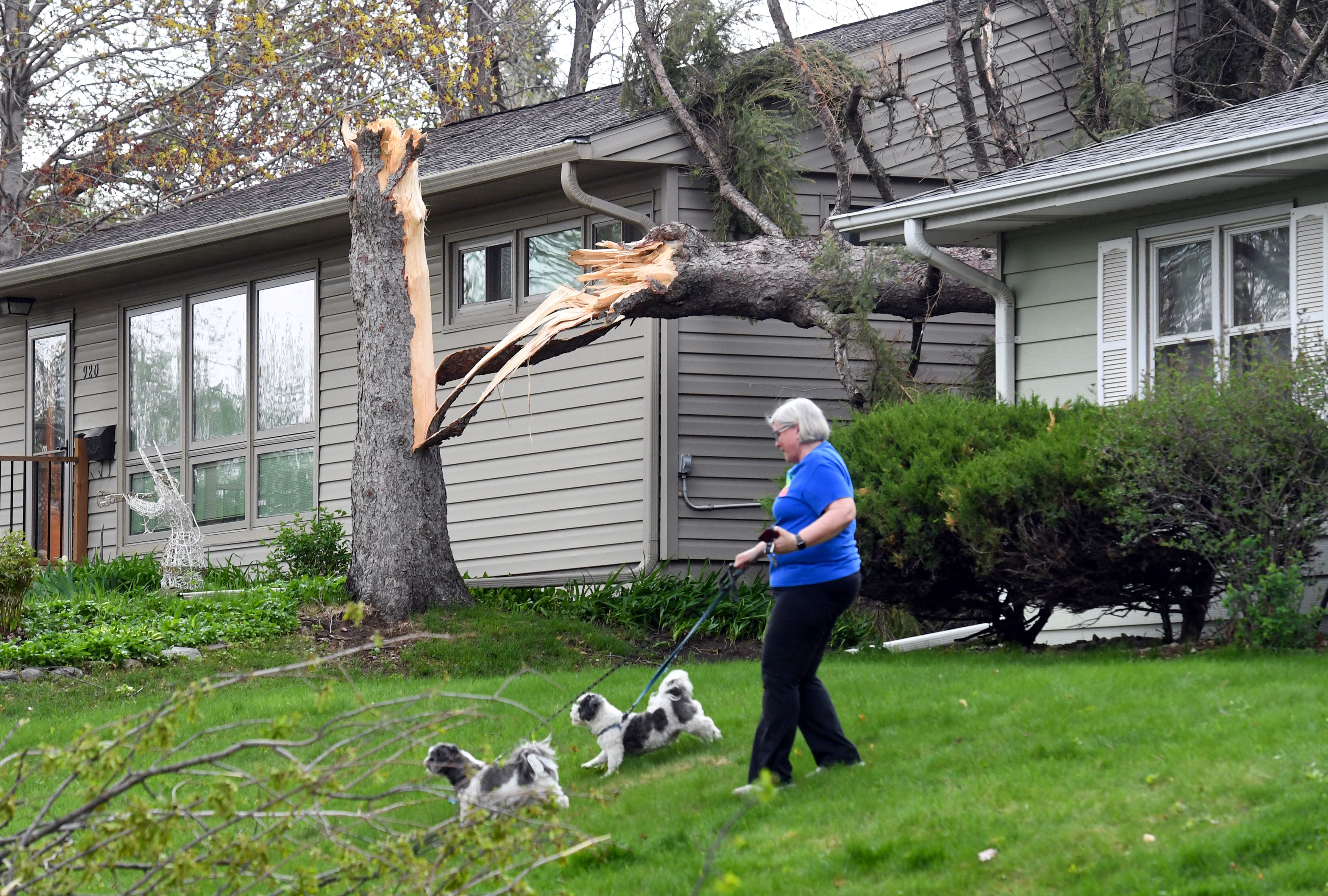 Derecho topples trees, damages roofs across Madison, South Dakota