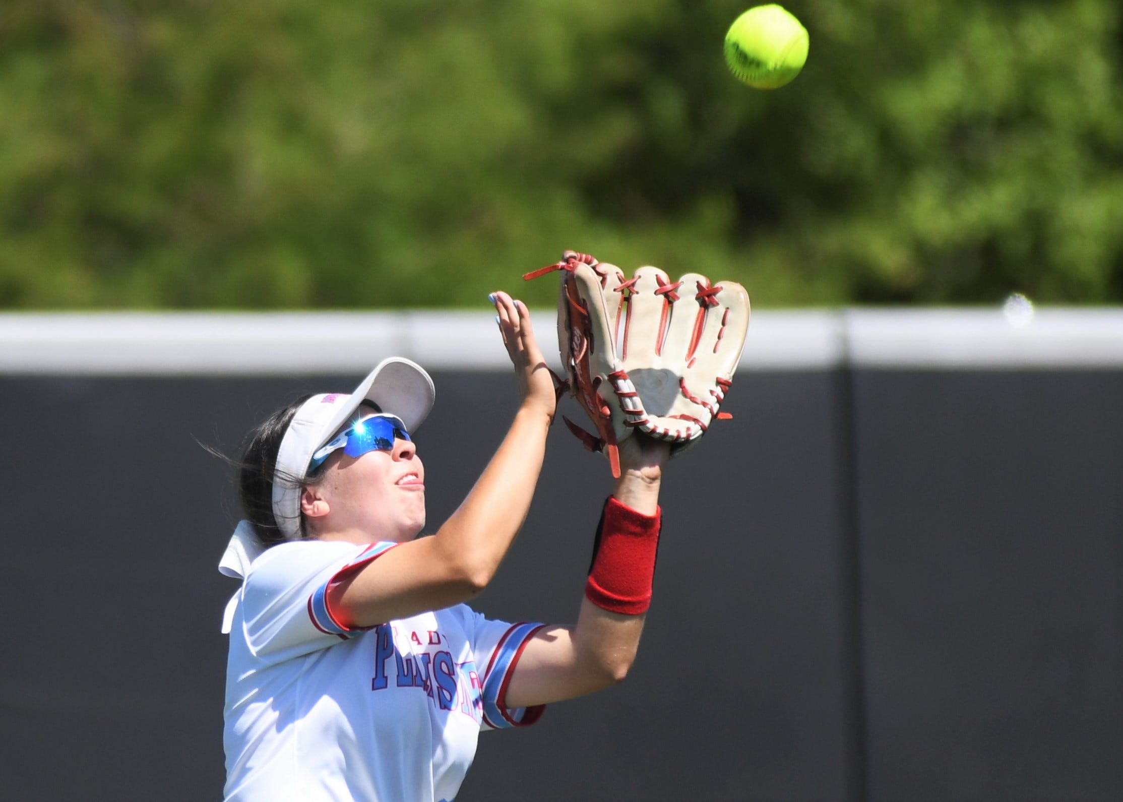 Aledo softball tops Monterey to sweep regional final