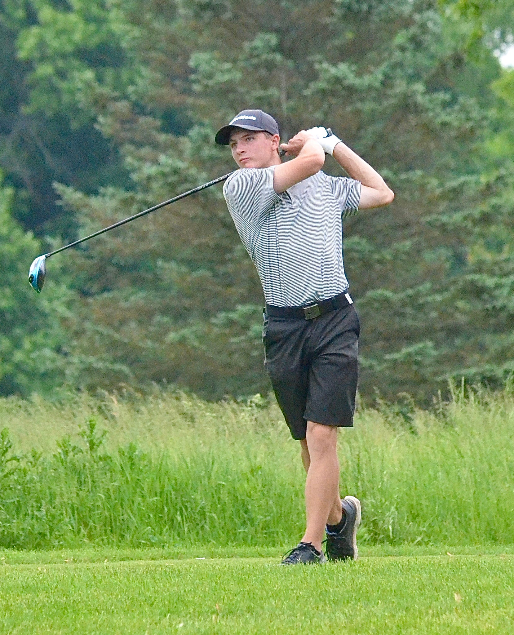 Observer and Eccentric Milford Times