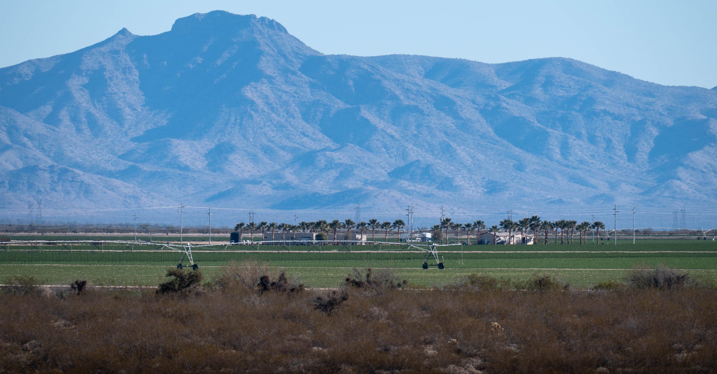 Arizona gives sweet deal to Saudi farm pumping water from state land