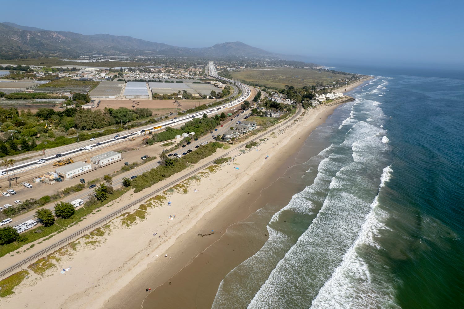 Great white sharks at California beaches: What scientists are finding