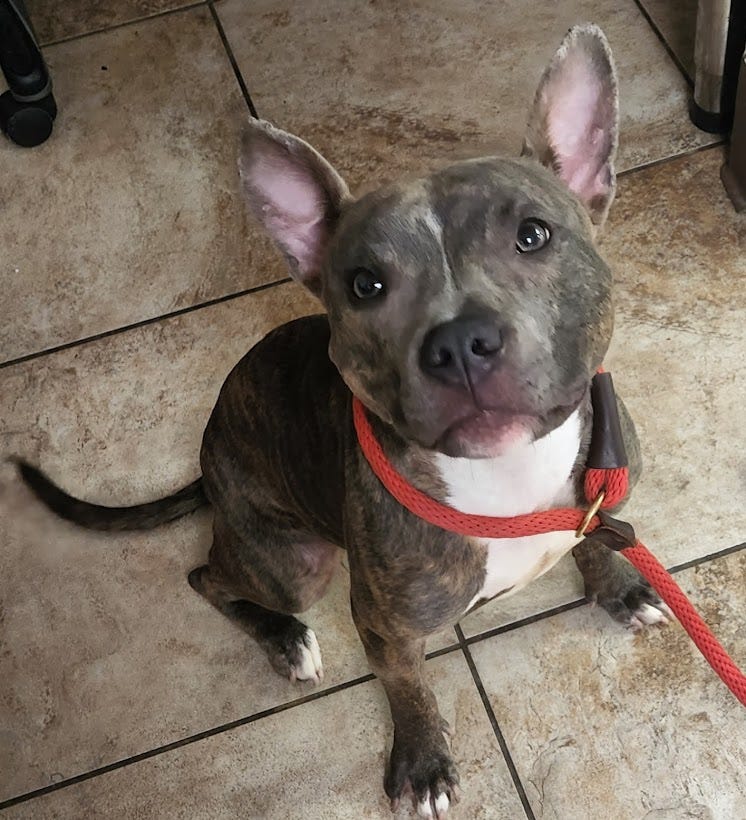 Erin Couch - Journalist Profile - Intelligent Relations