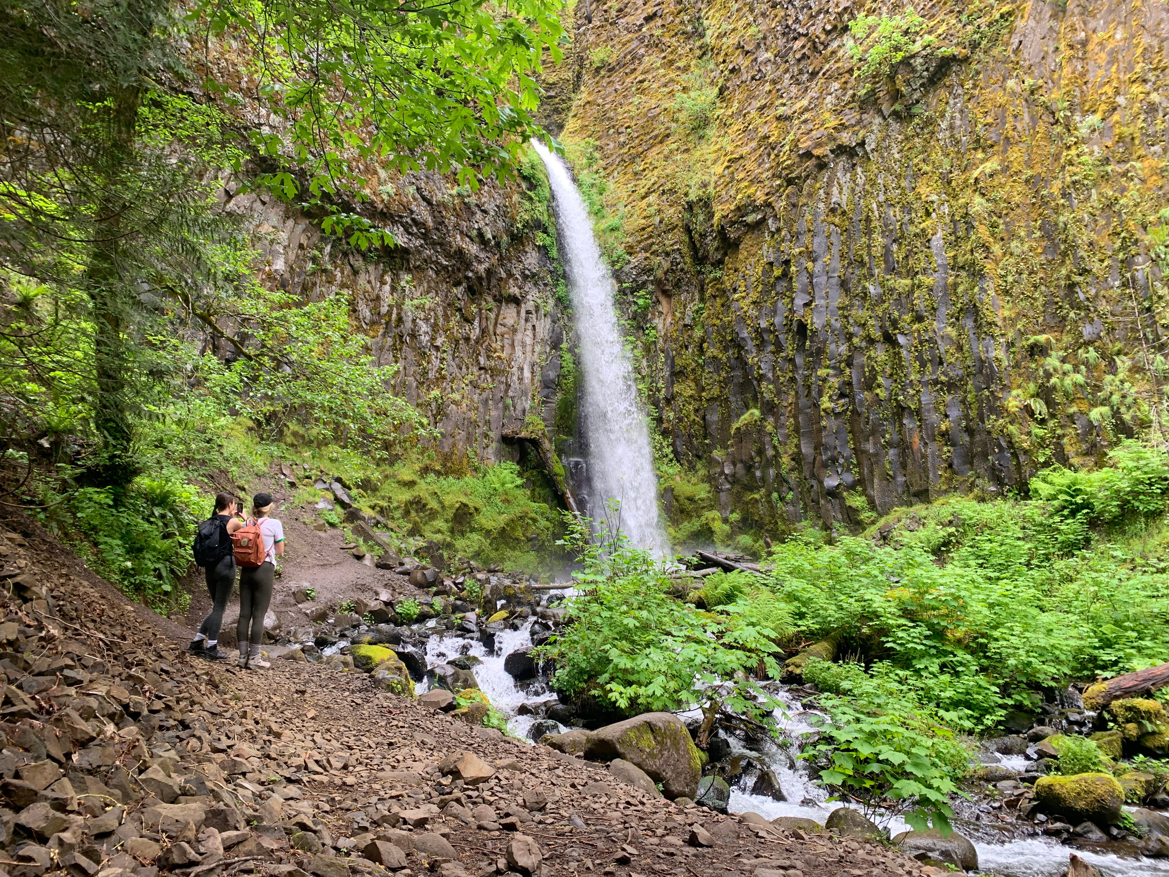 Dry Creek Falls hike features wildflowers, cheeseburgers and salmon