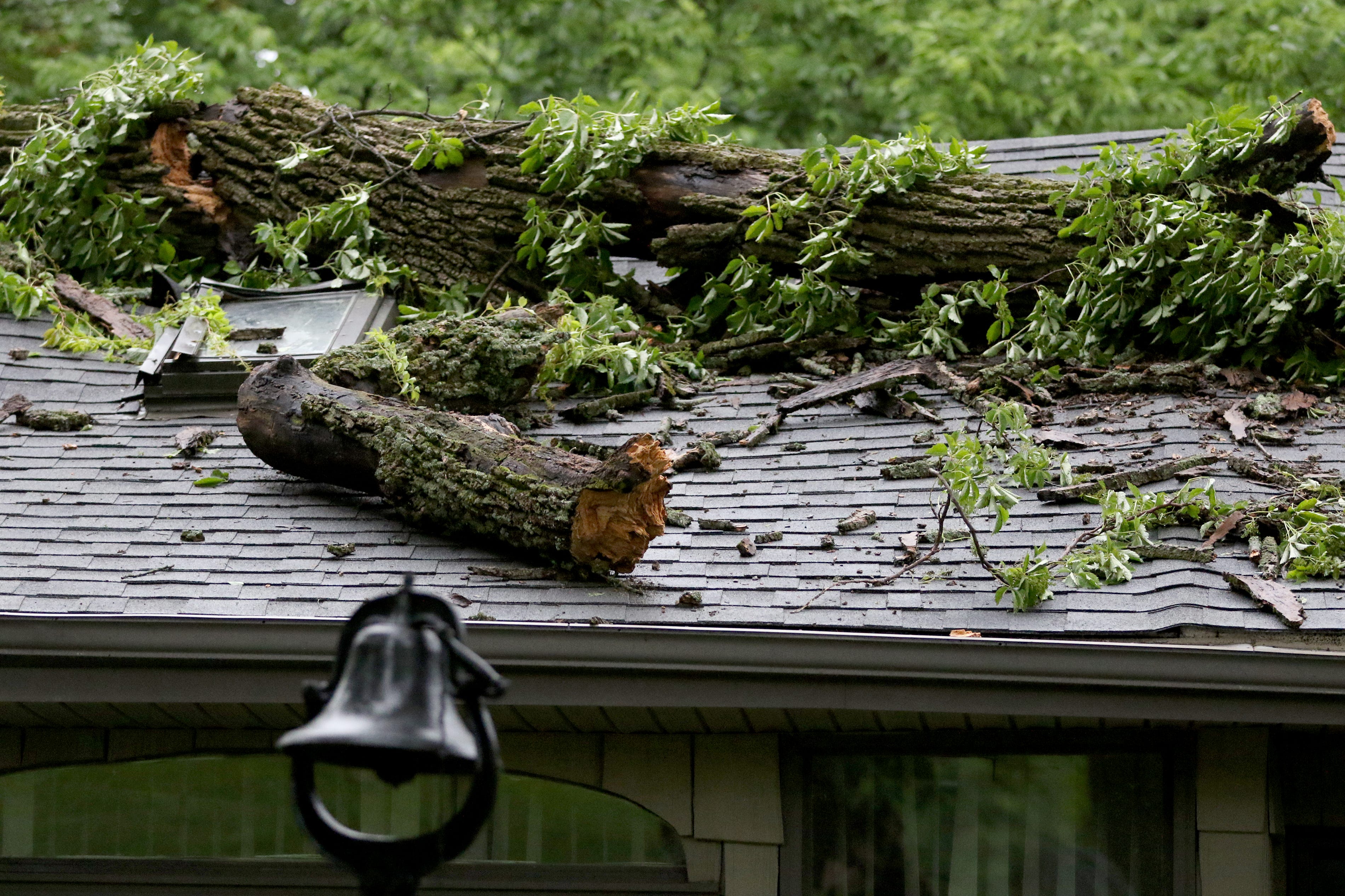 How to remove downed trees or branches after severe weather