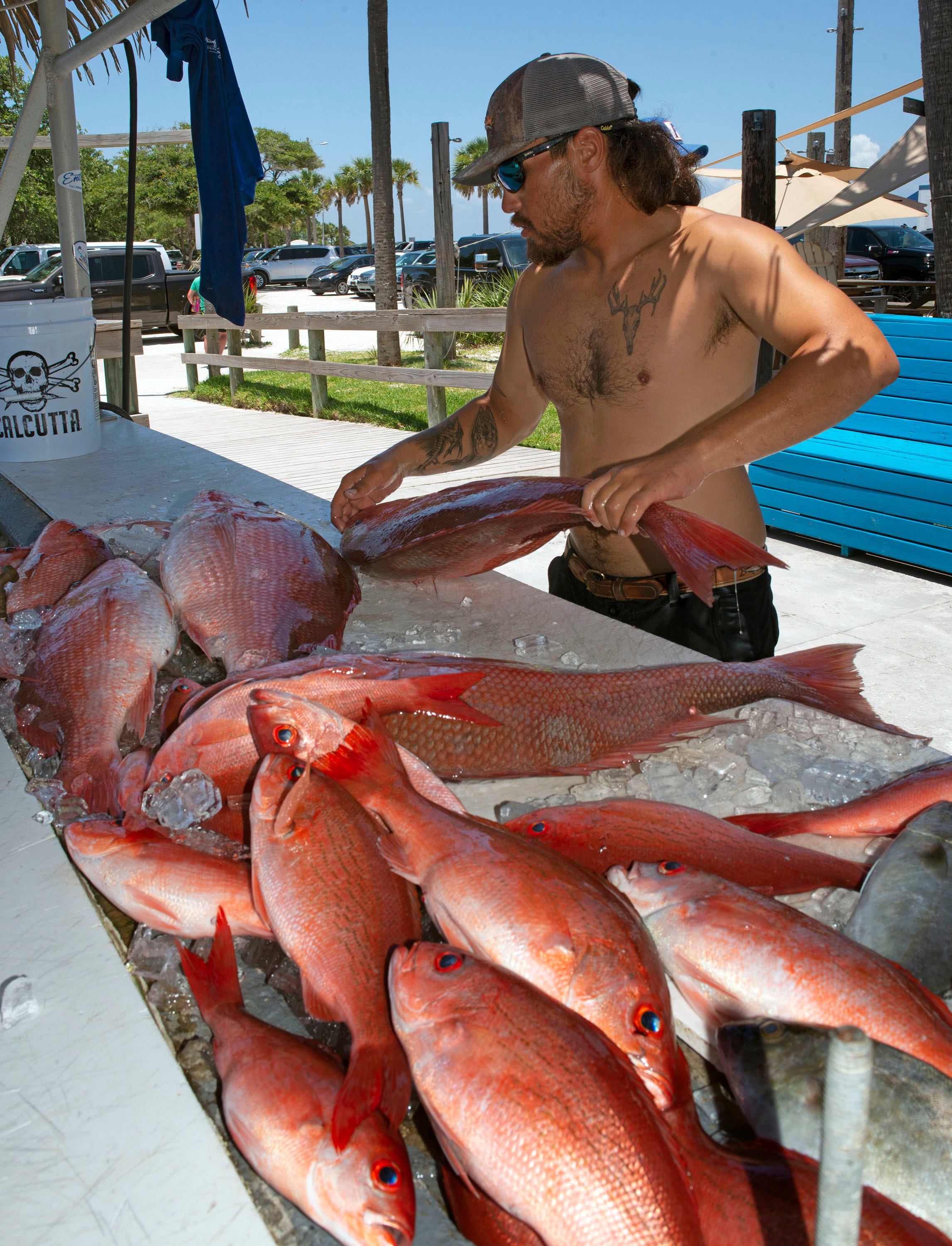 Florida red snapper season: Pensacola fishing charters hope for big season