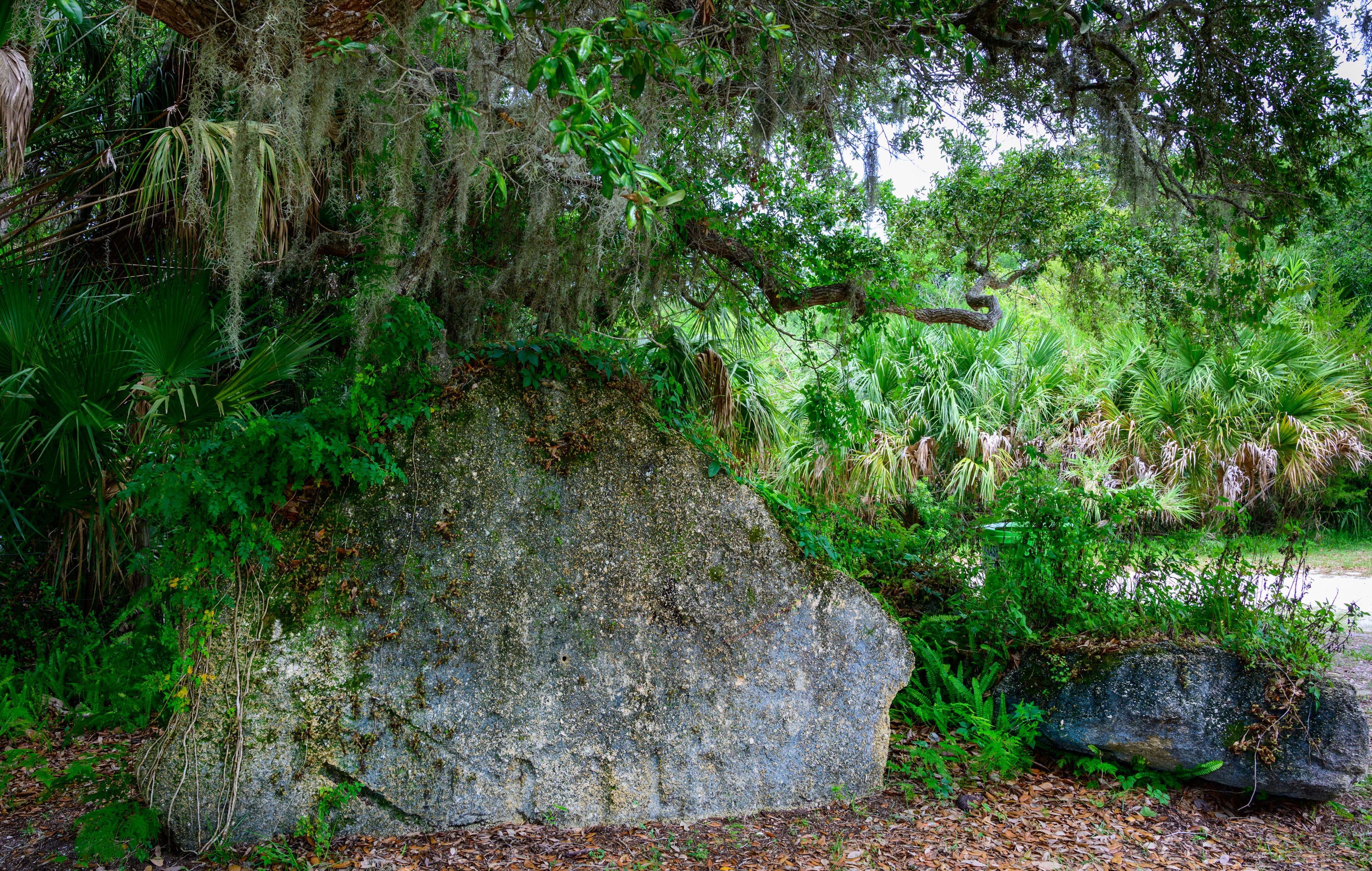 'The Secret' book has people searching for treasure in St. Augustine