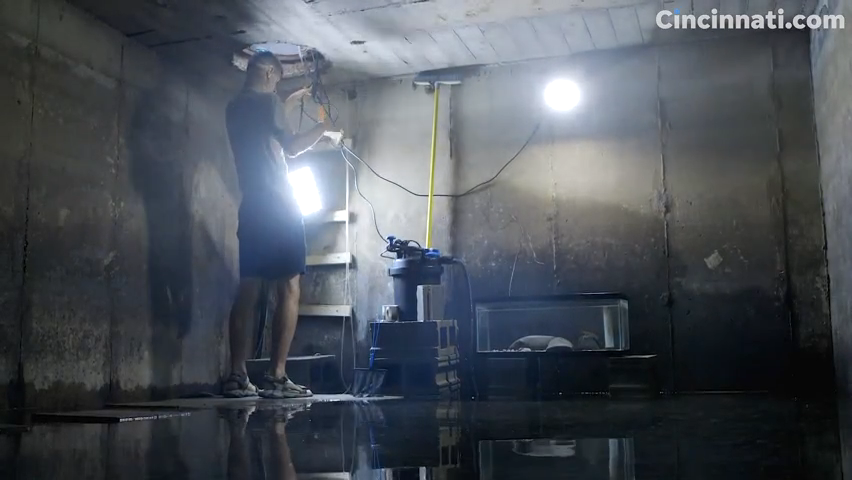 Local Instagrammer shows collection of fish, reptiles and his eel pool