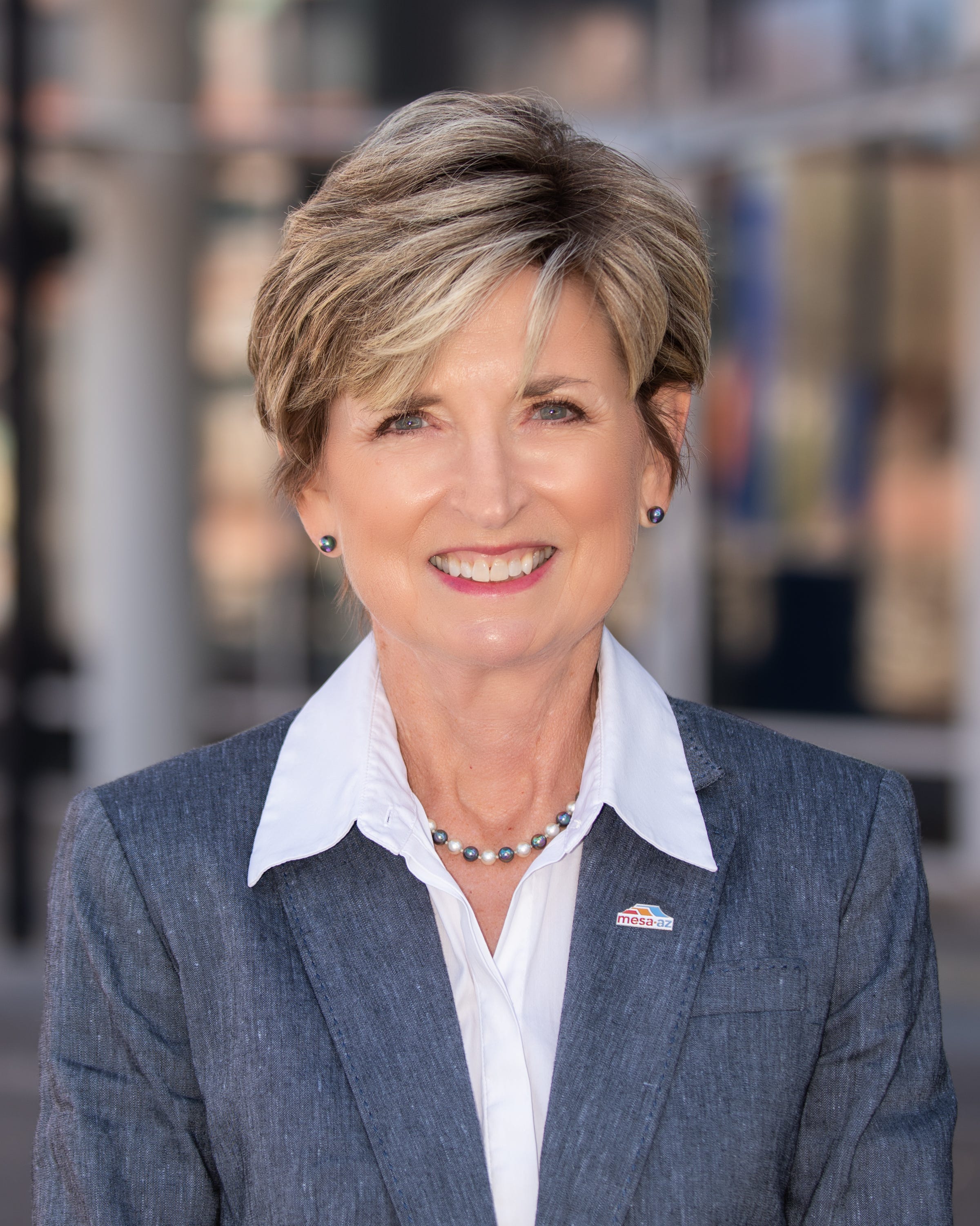 Who is on Mesa City Council? What to know about the members