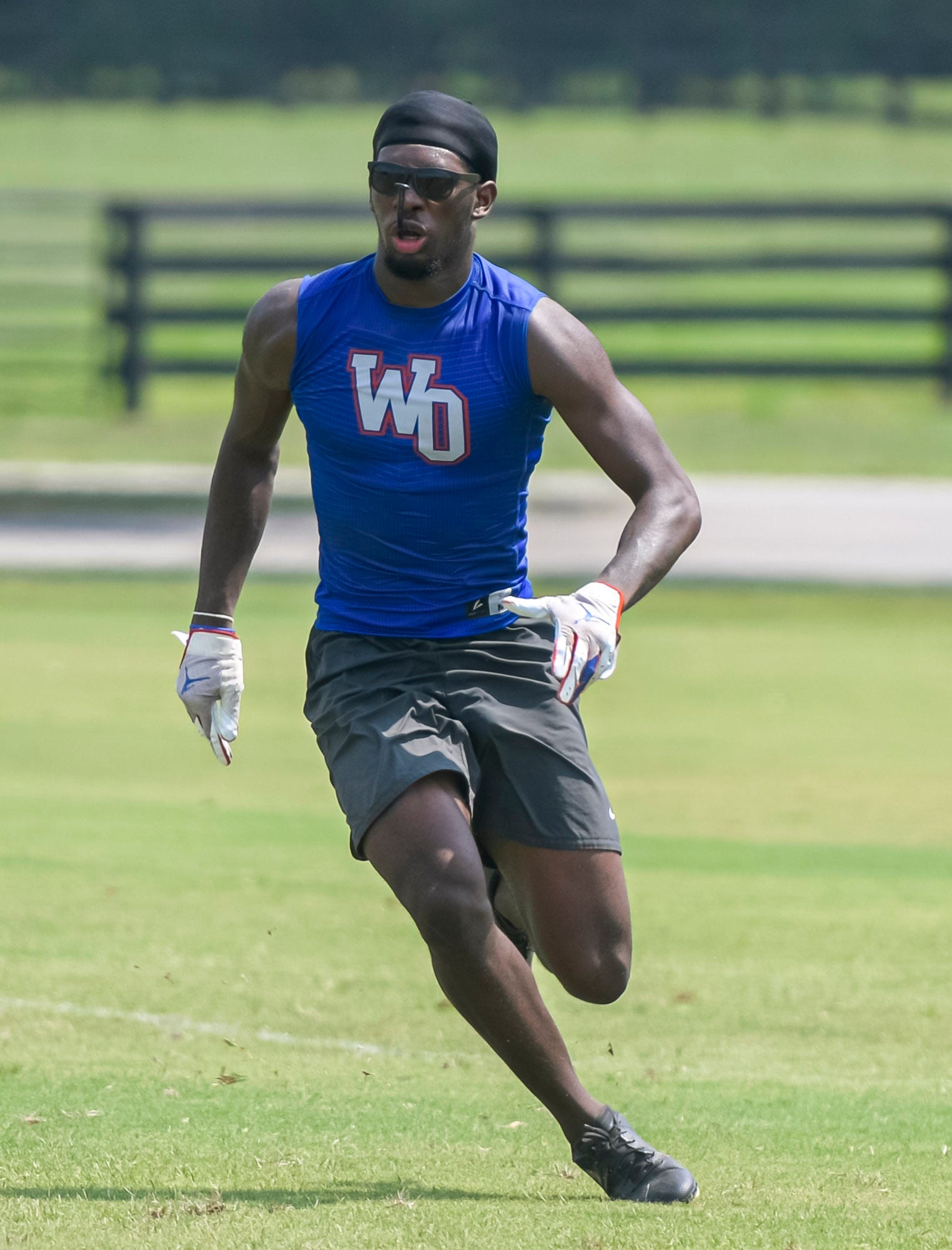 Sports UF Gators - Jacksonville, FL | Florida Times-Union