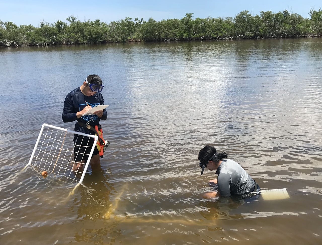 Lagoon inlets could alter it's ecology and local beaches, critics say