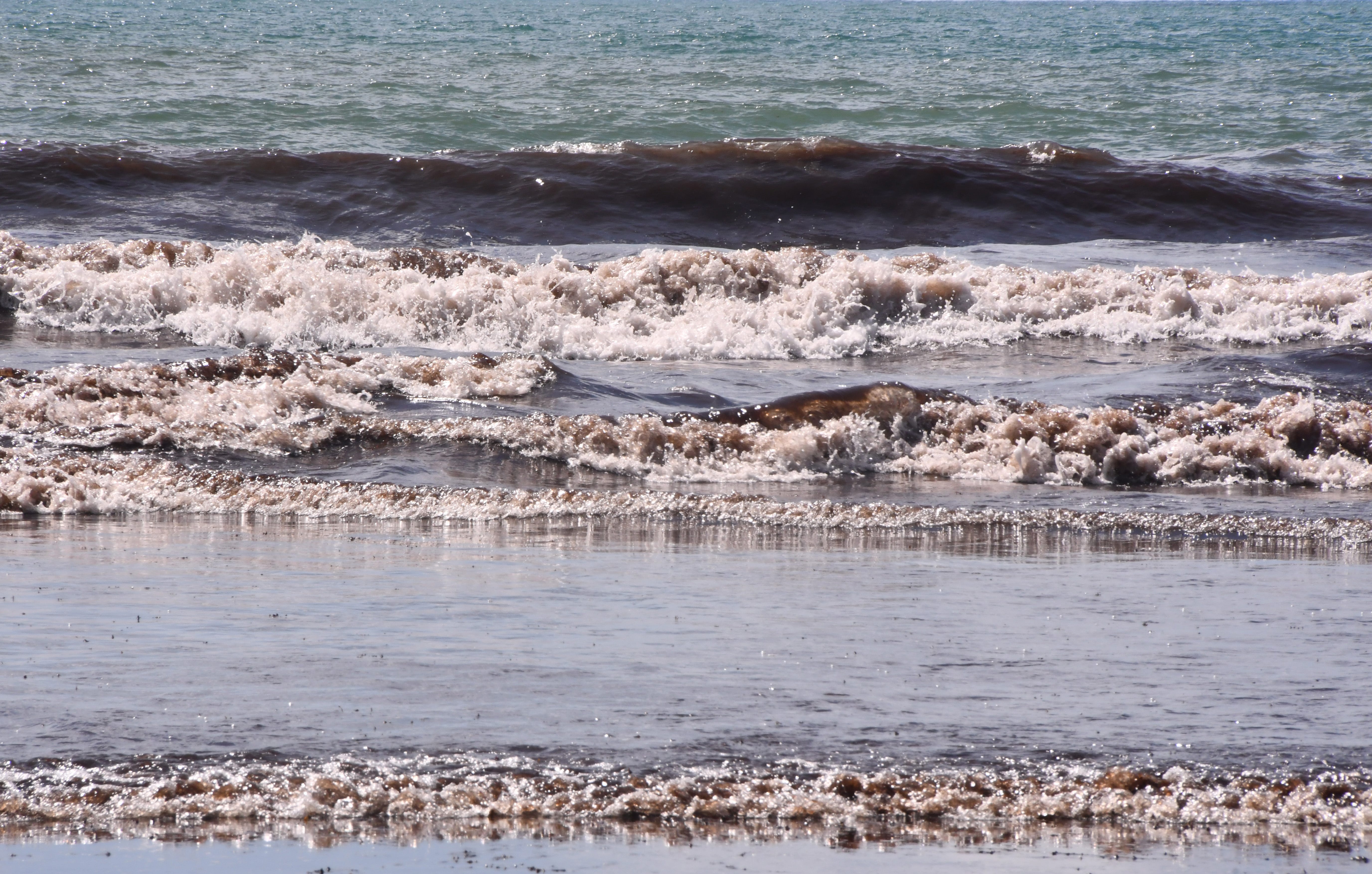 Stringy algae, smelly seaweed flood central Florida beaches
