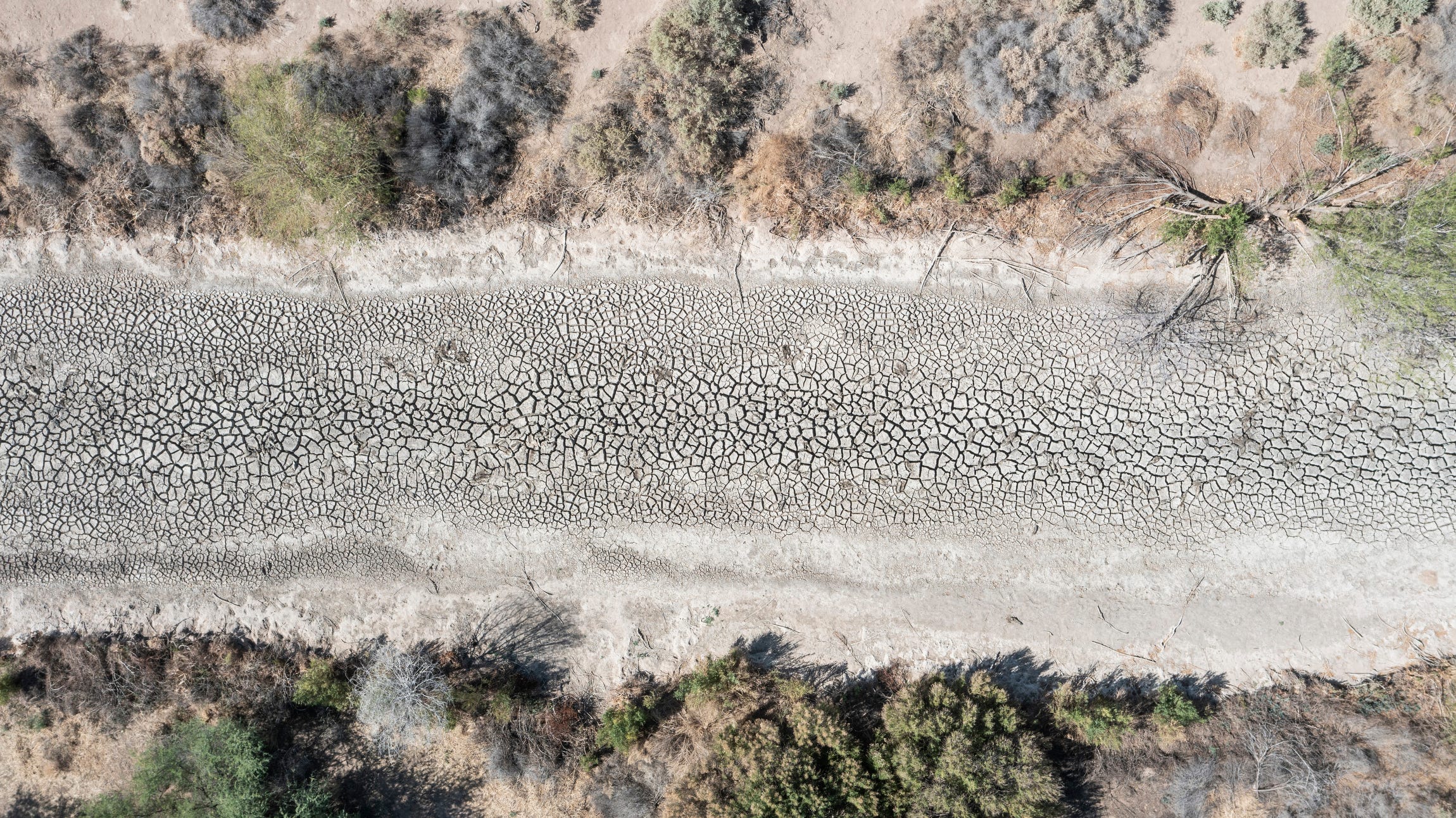 Rio Bosque Wetlands Park restores natural environment outside El Paso