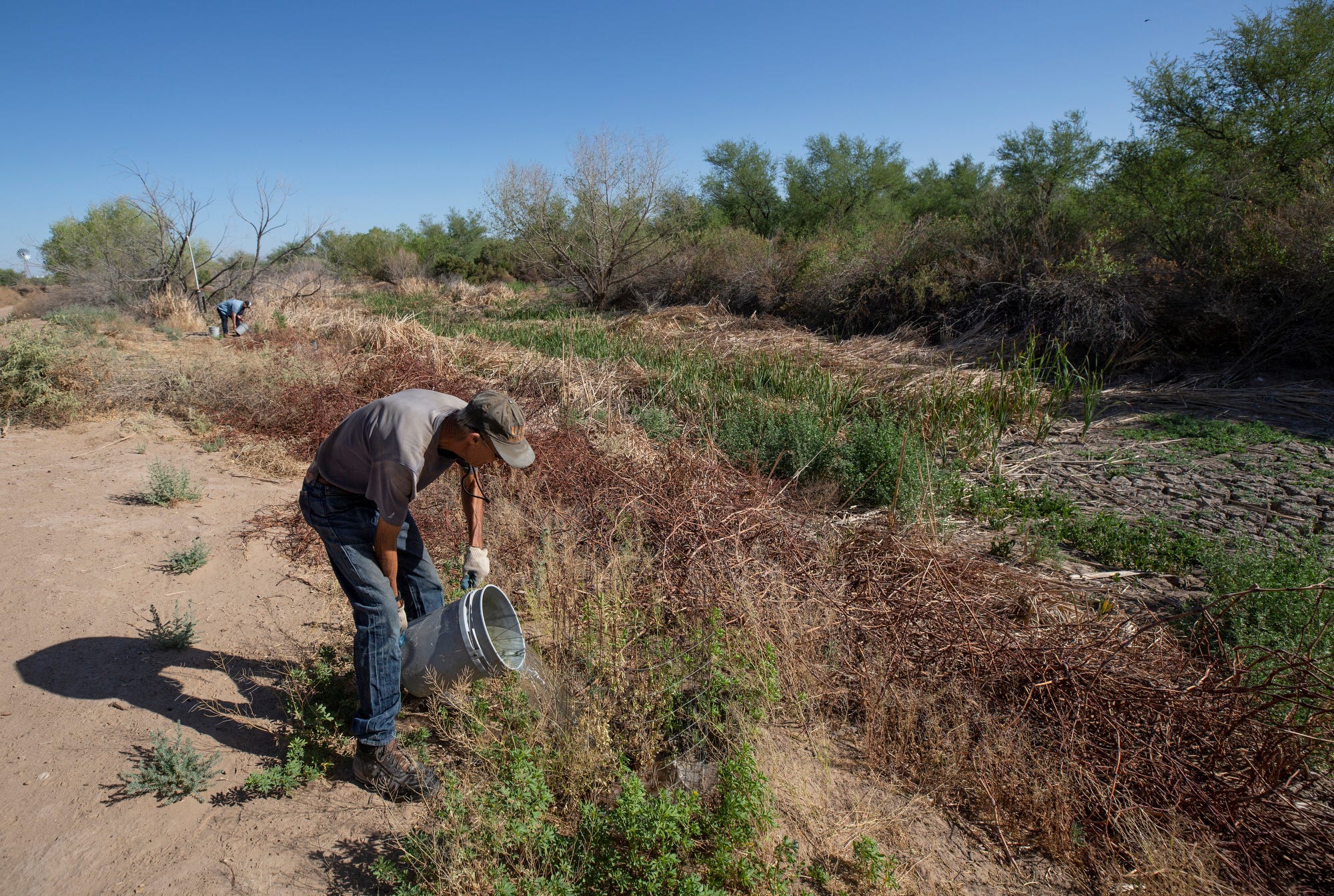 Rio Bosque Wetlands Park restores natural environment outside El Paso