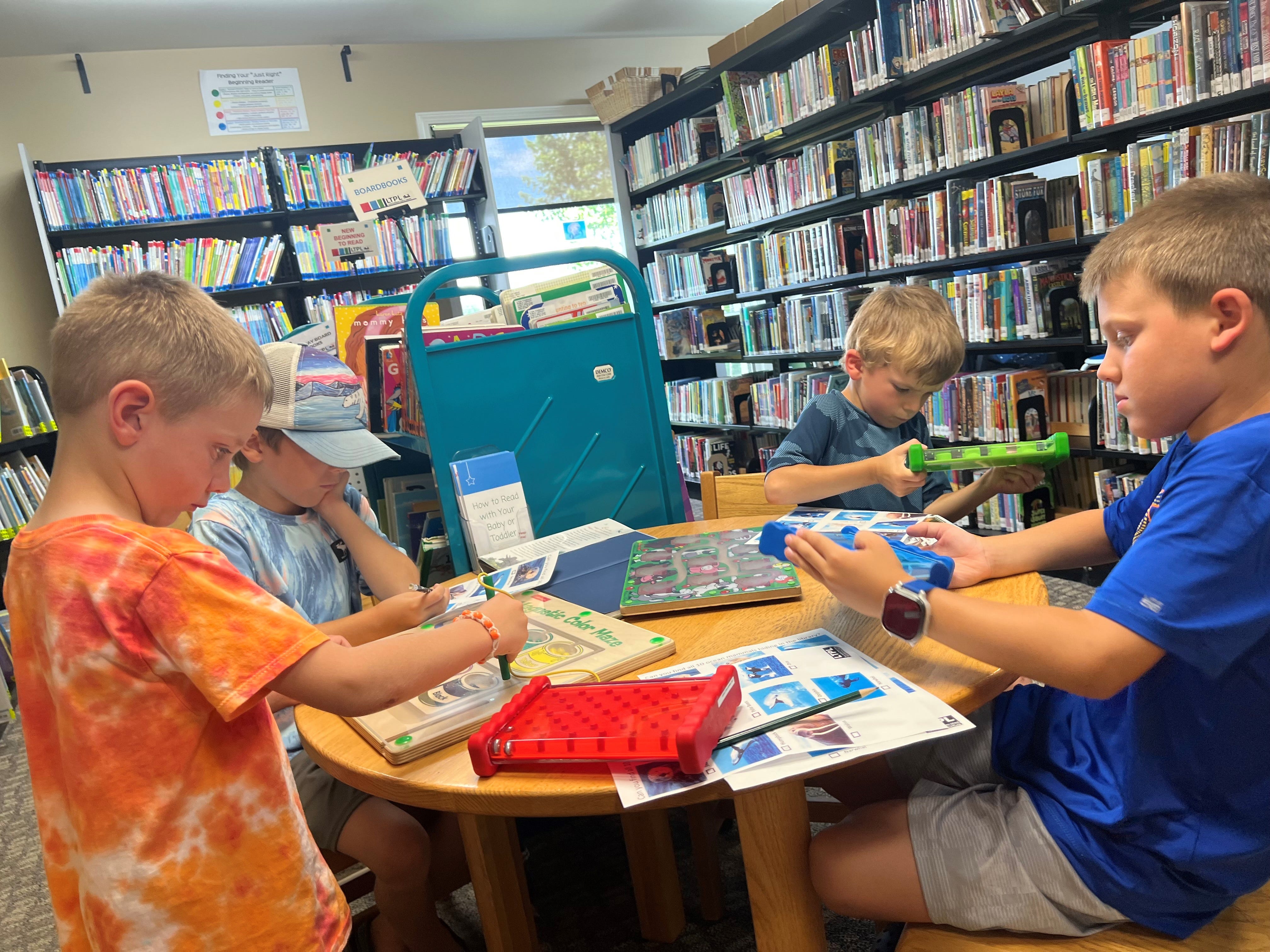 Election 2022: Fire, library millage proposals on Lyon Township ballot