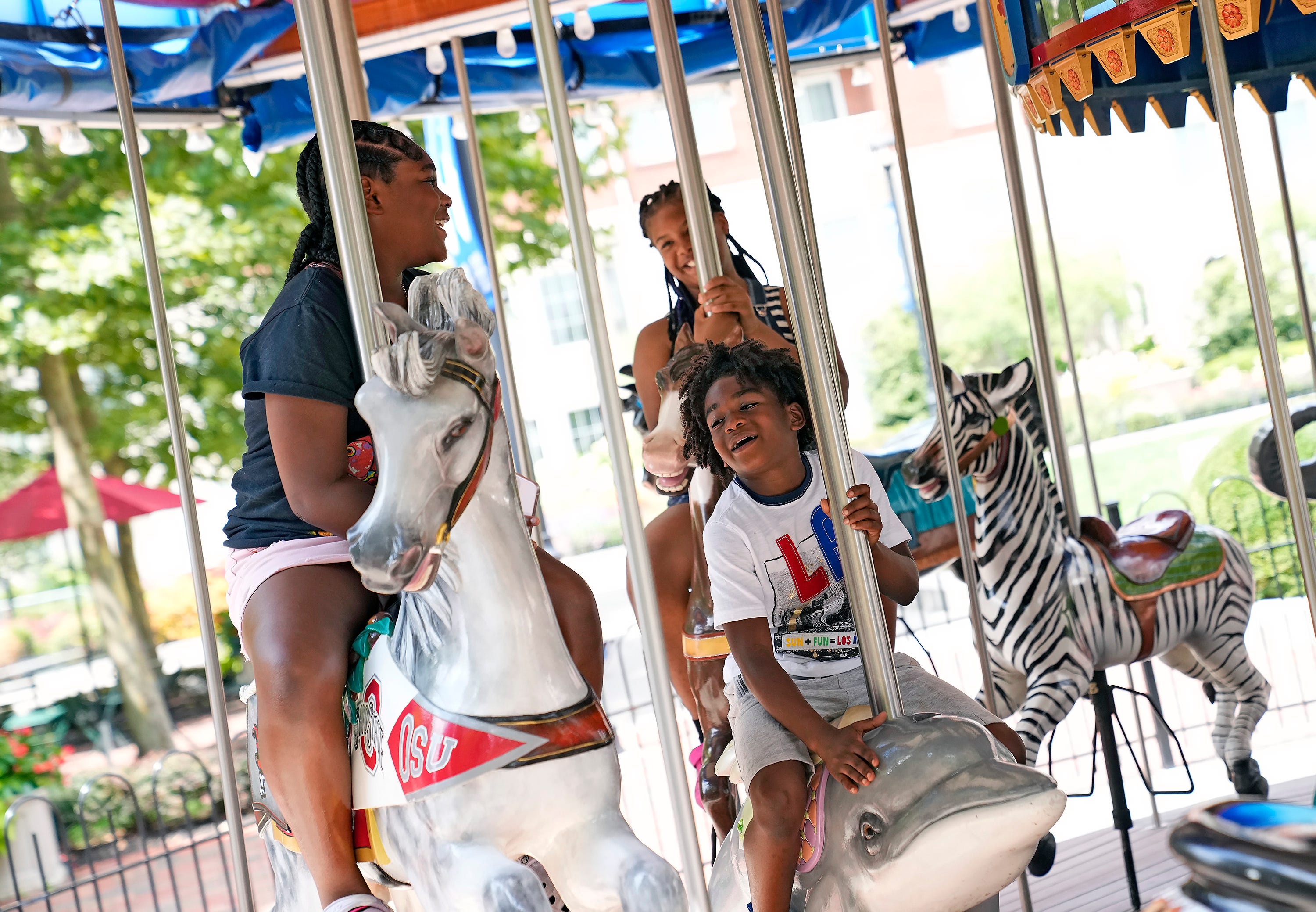 National Carousel Day is July 25. Where are the carousels in Ohio?