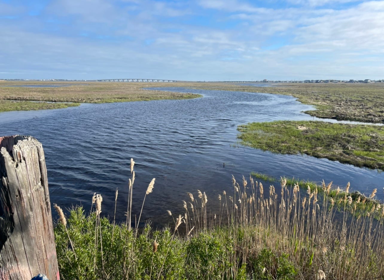 A guide to clamming and crabbing in NJ: Tips and locations
