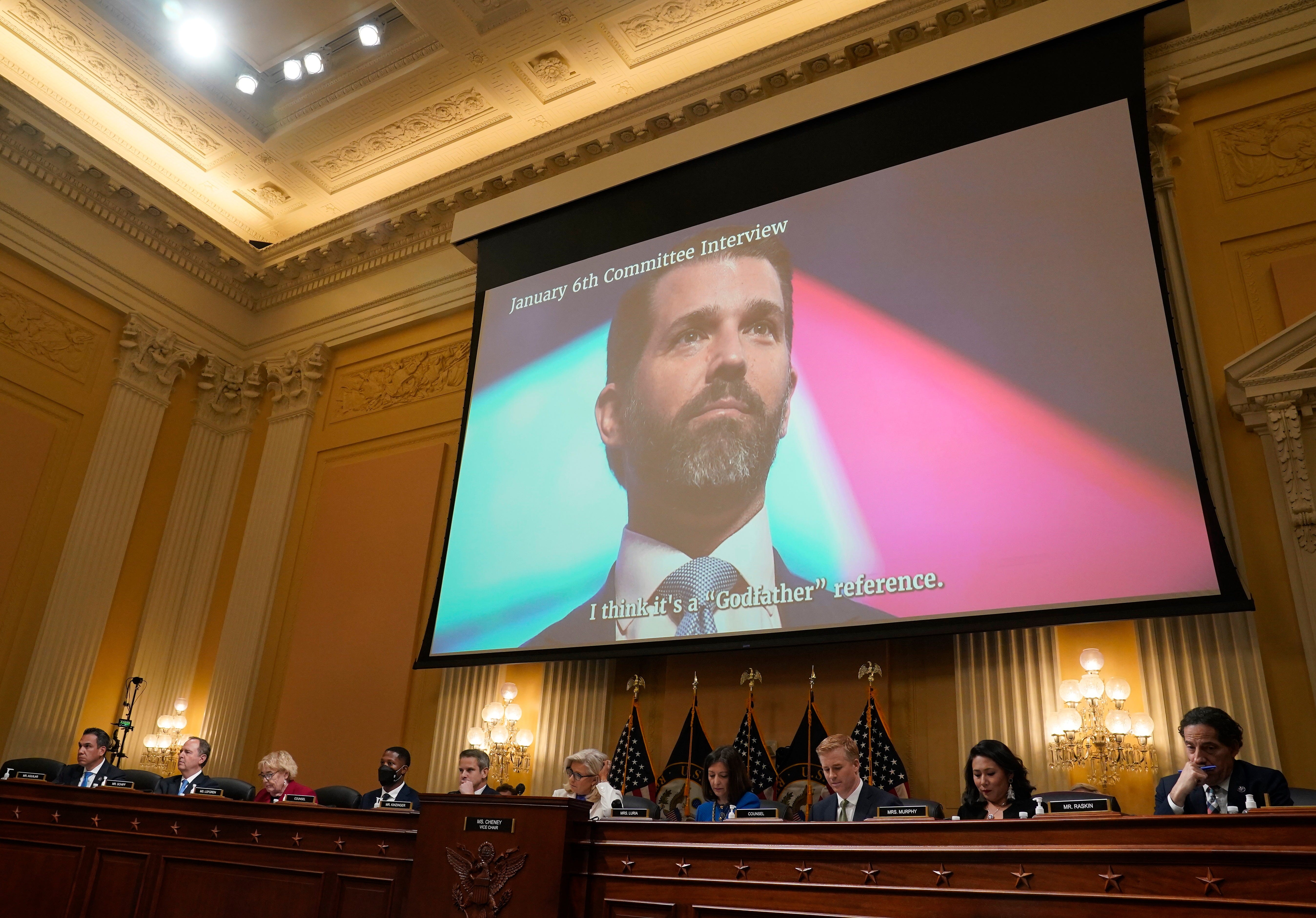 Jan. 6 transcripts: Hicks texted 'we... look like domestic terrorists'