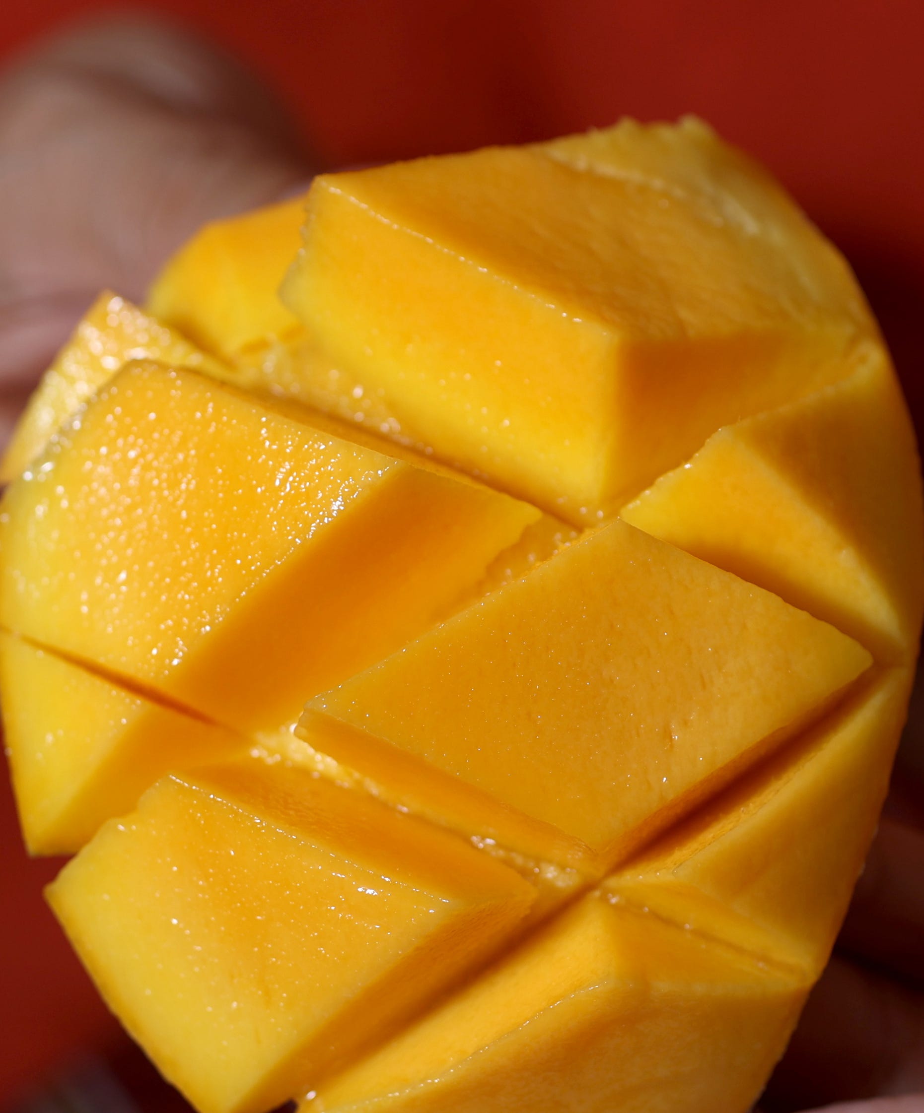 How mangoes are celebrated across cultures, from Pakistan to India