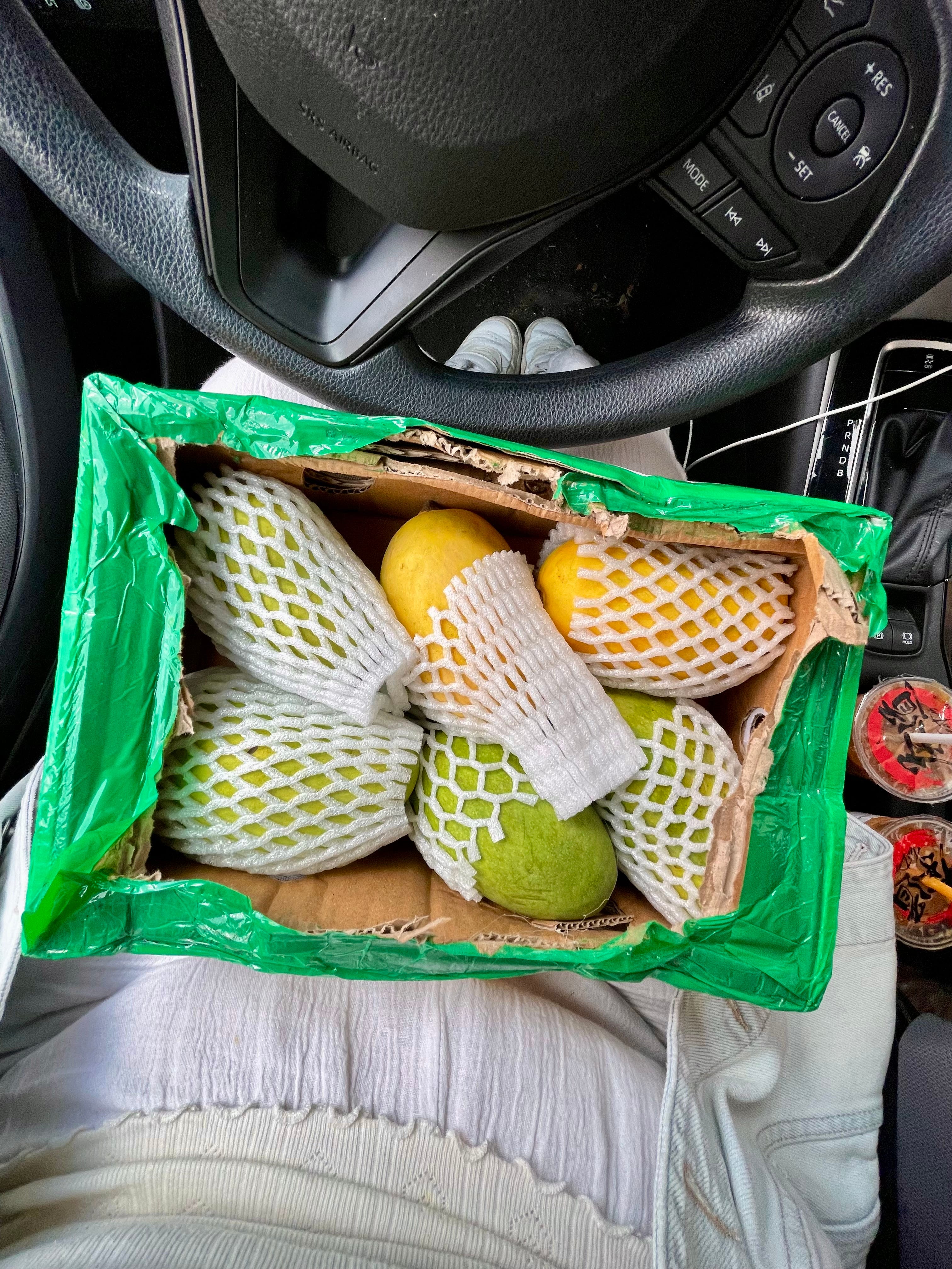 How mangoes are celebrated across cultures, from Pakistan to India